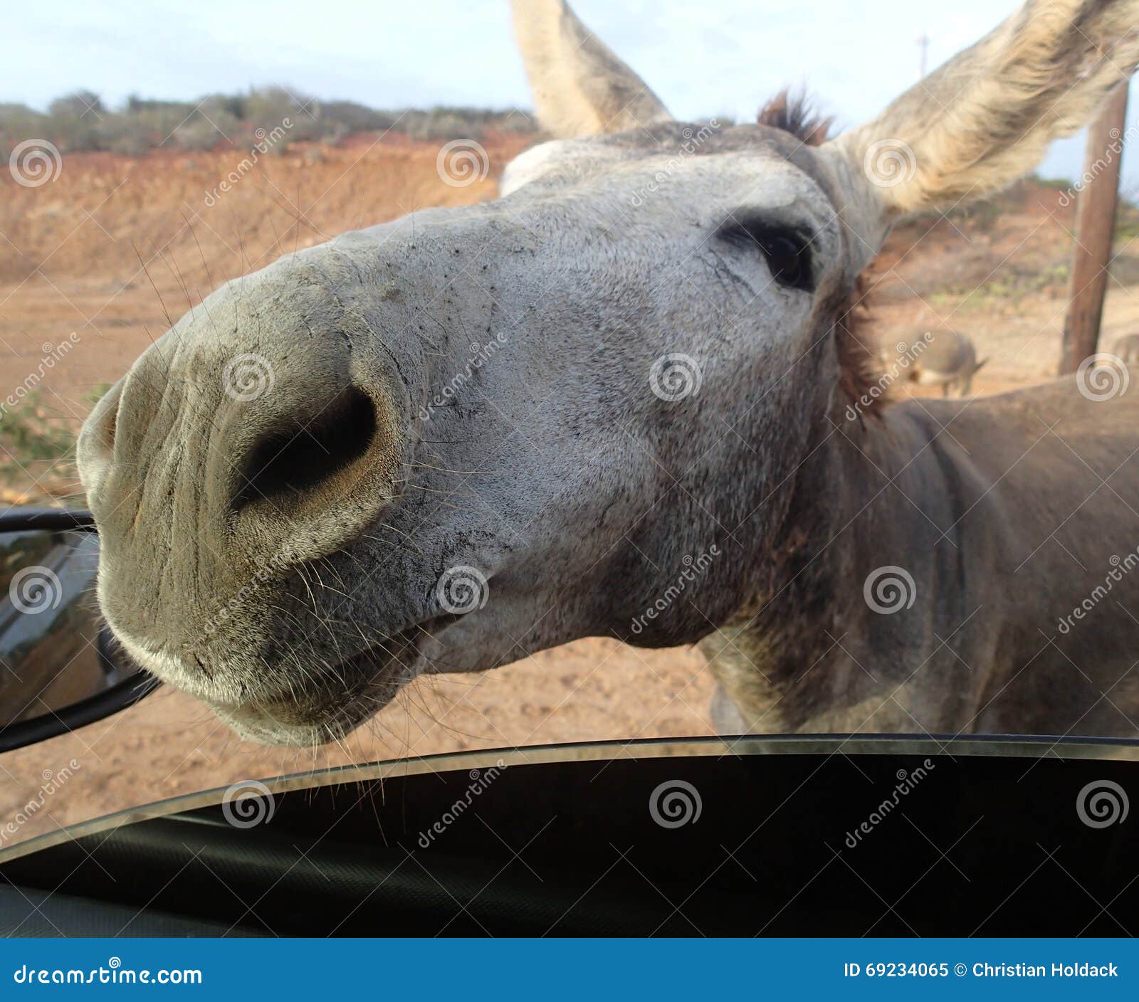 Bring me a ride stock image. Image of ventana, carro - 69234065