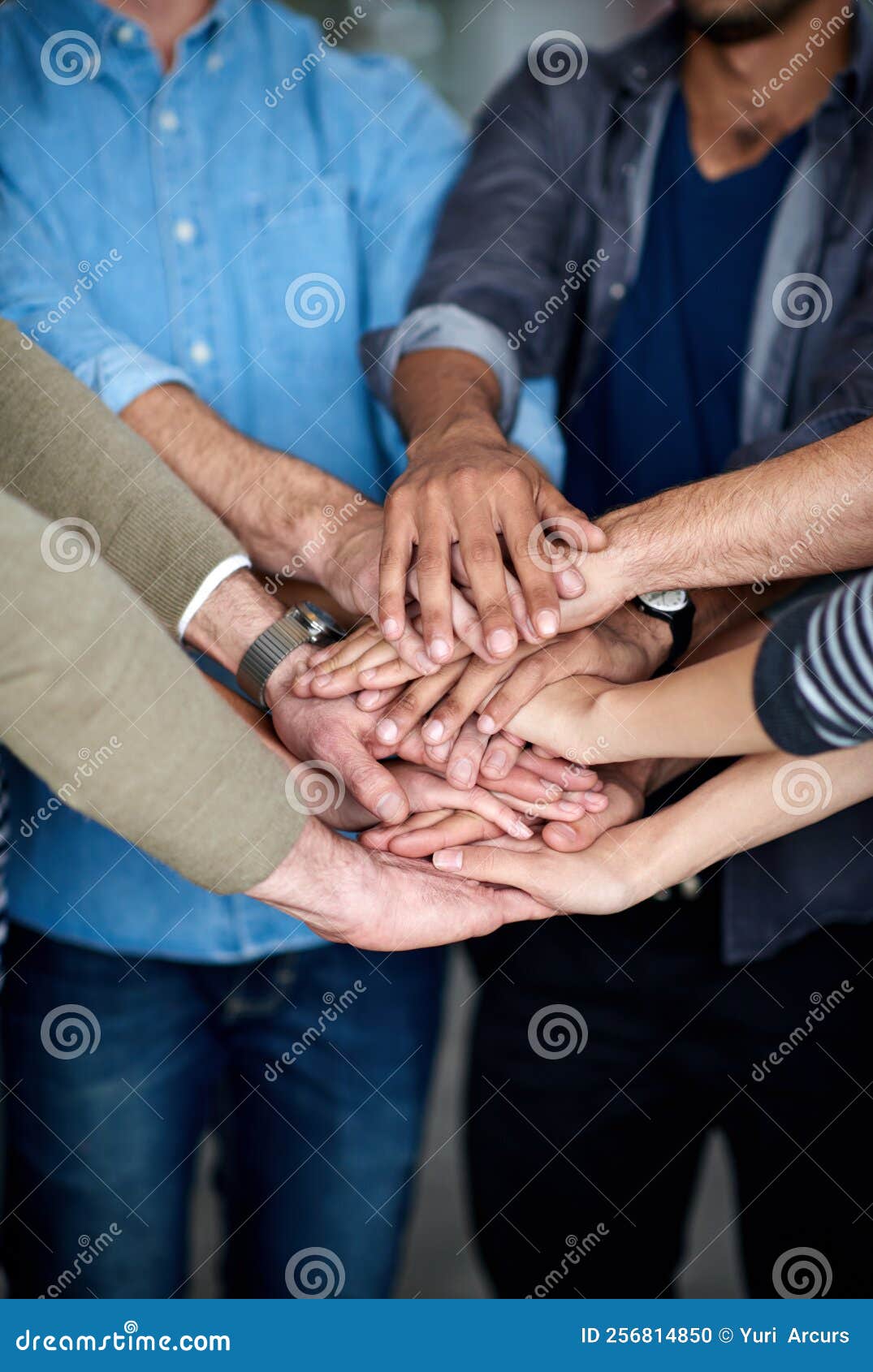 Bring it in for the Team. Cropped View of a Multi Ethnic Group Putting ...