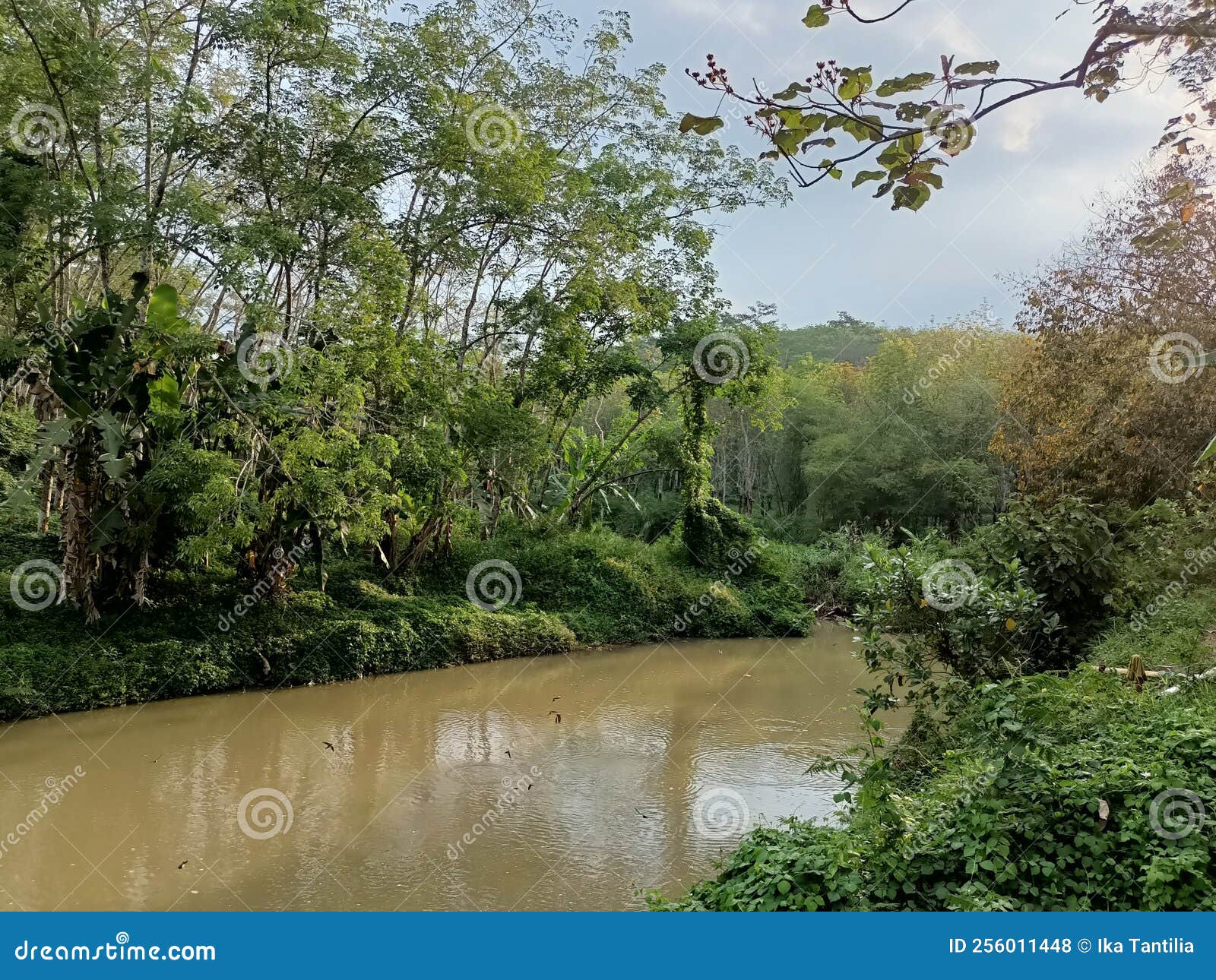 Bringing My Imagination in the Silent River Stock Photo - Image of ...