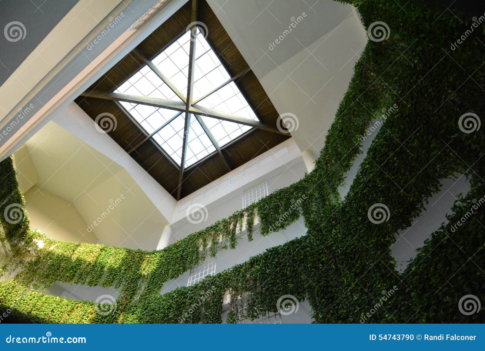 Bringing outside inside stock photo. Image of wood, outside - 54743790