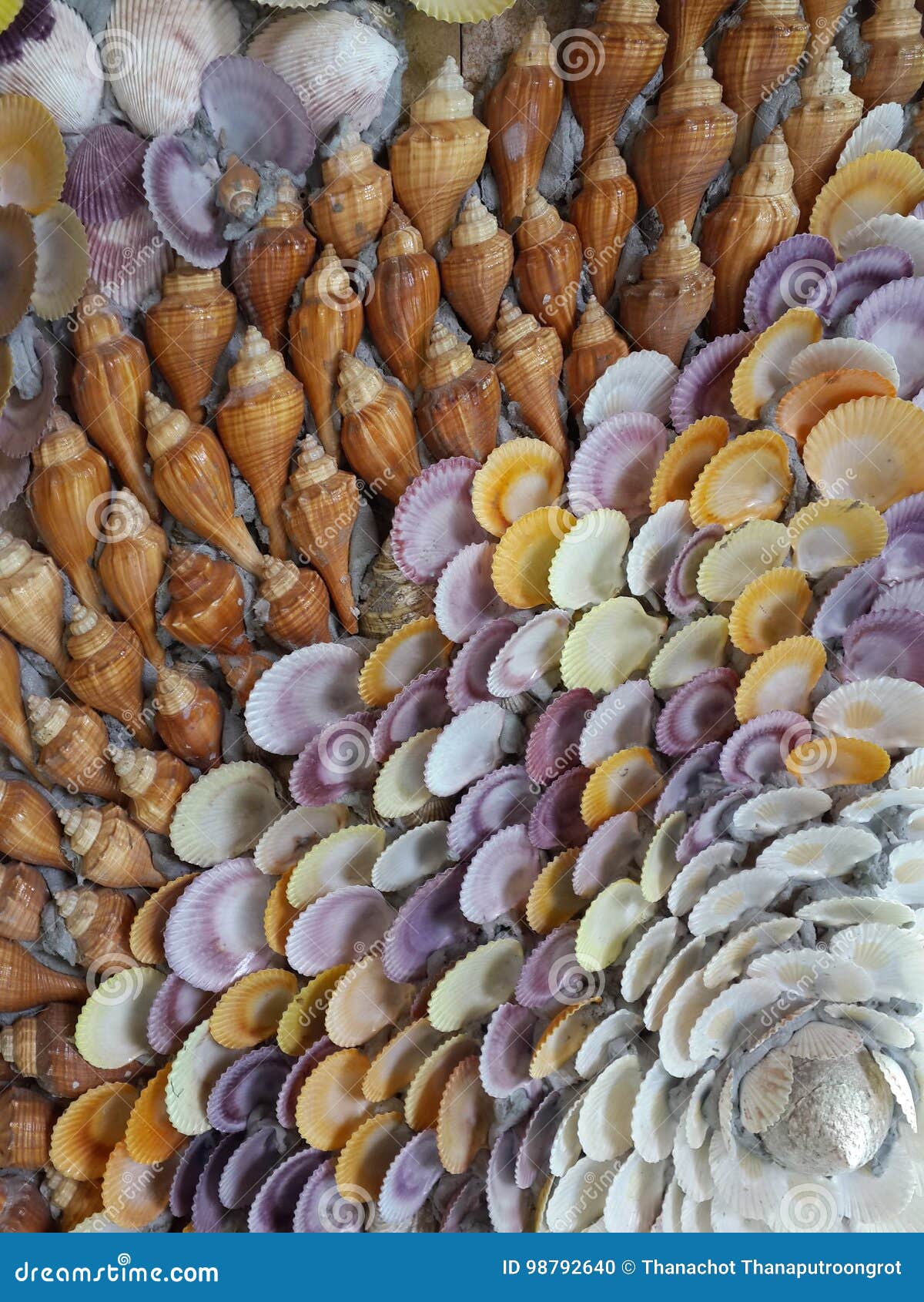 Bringing Shells To Decorate Buildings Stock Photo - Image of wall ...