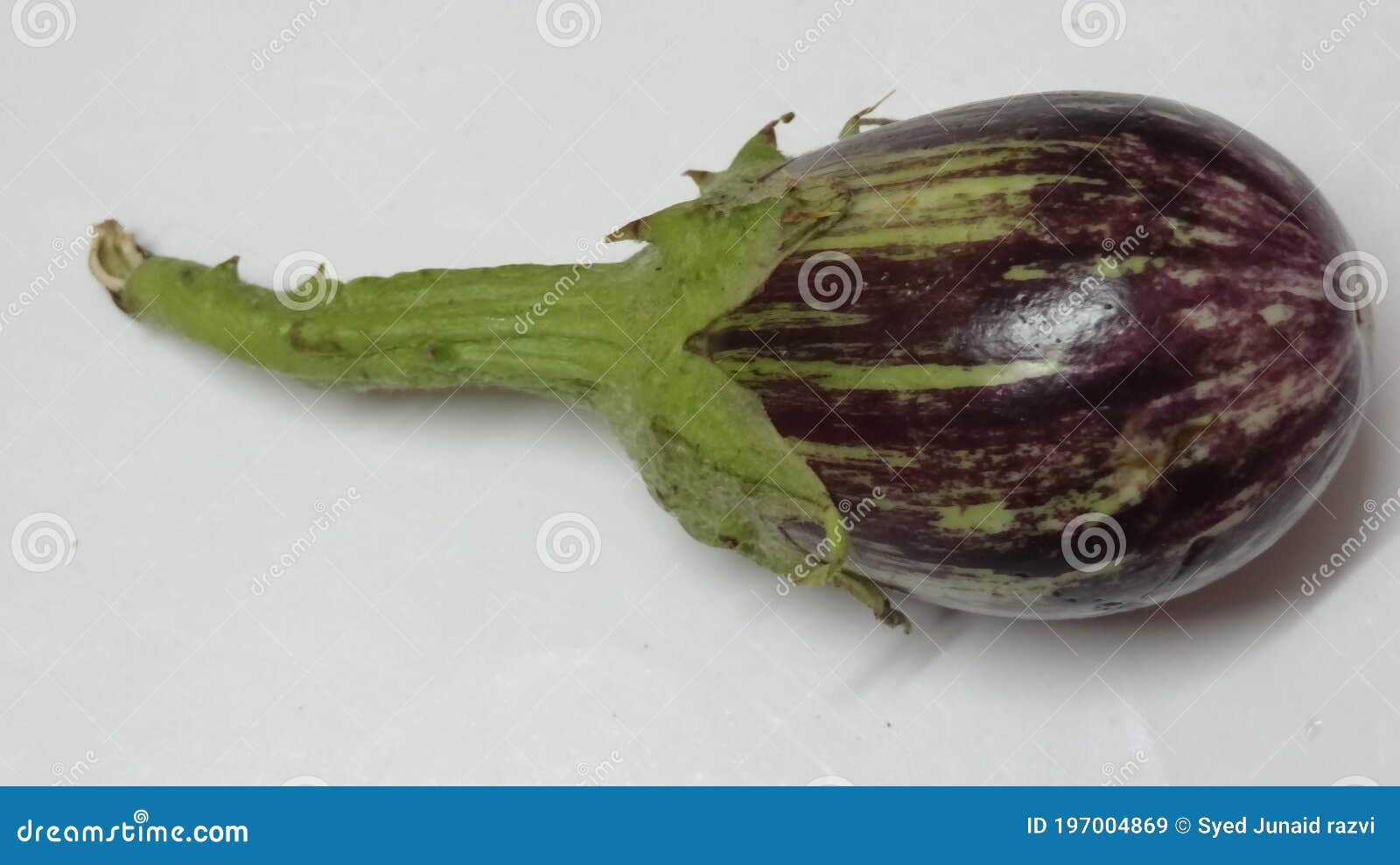 A bringle with its green stock image. Image of face - 197004869