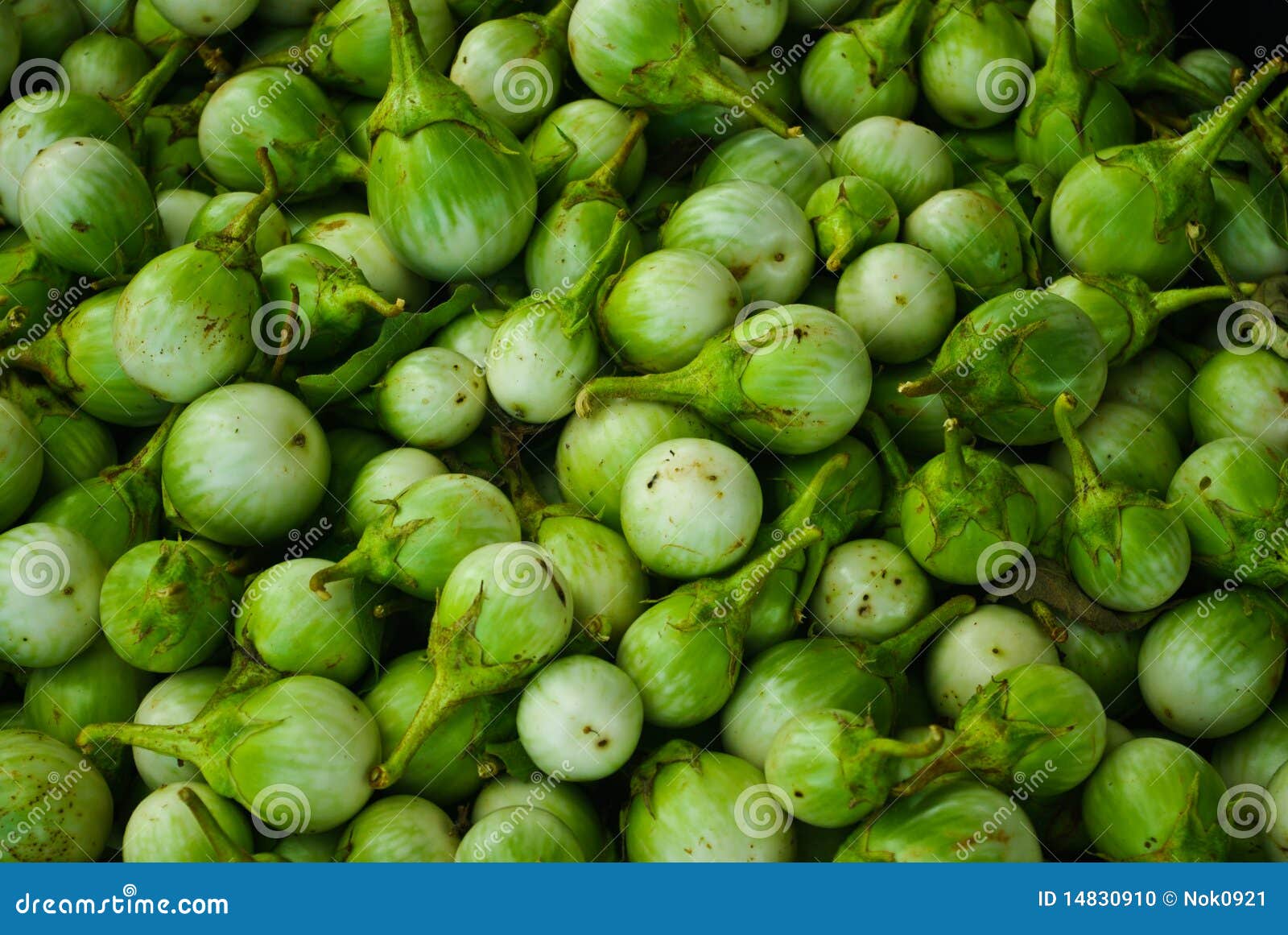 Brinjal stock photo. Image of nutritional, health, closeup - 14830910