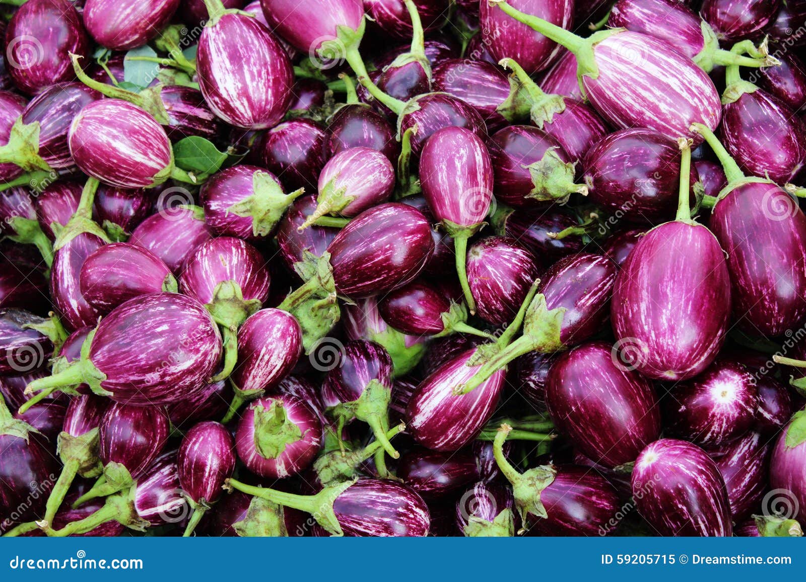 Brinjal Background stock image. Image of nutritious, cooking - 59205715