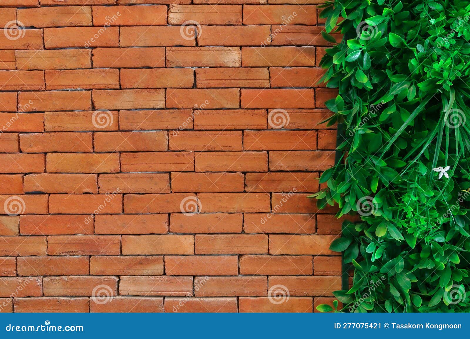 Brink Wall with Green Leaves for Background and Design. Stock Image ...