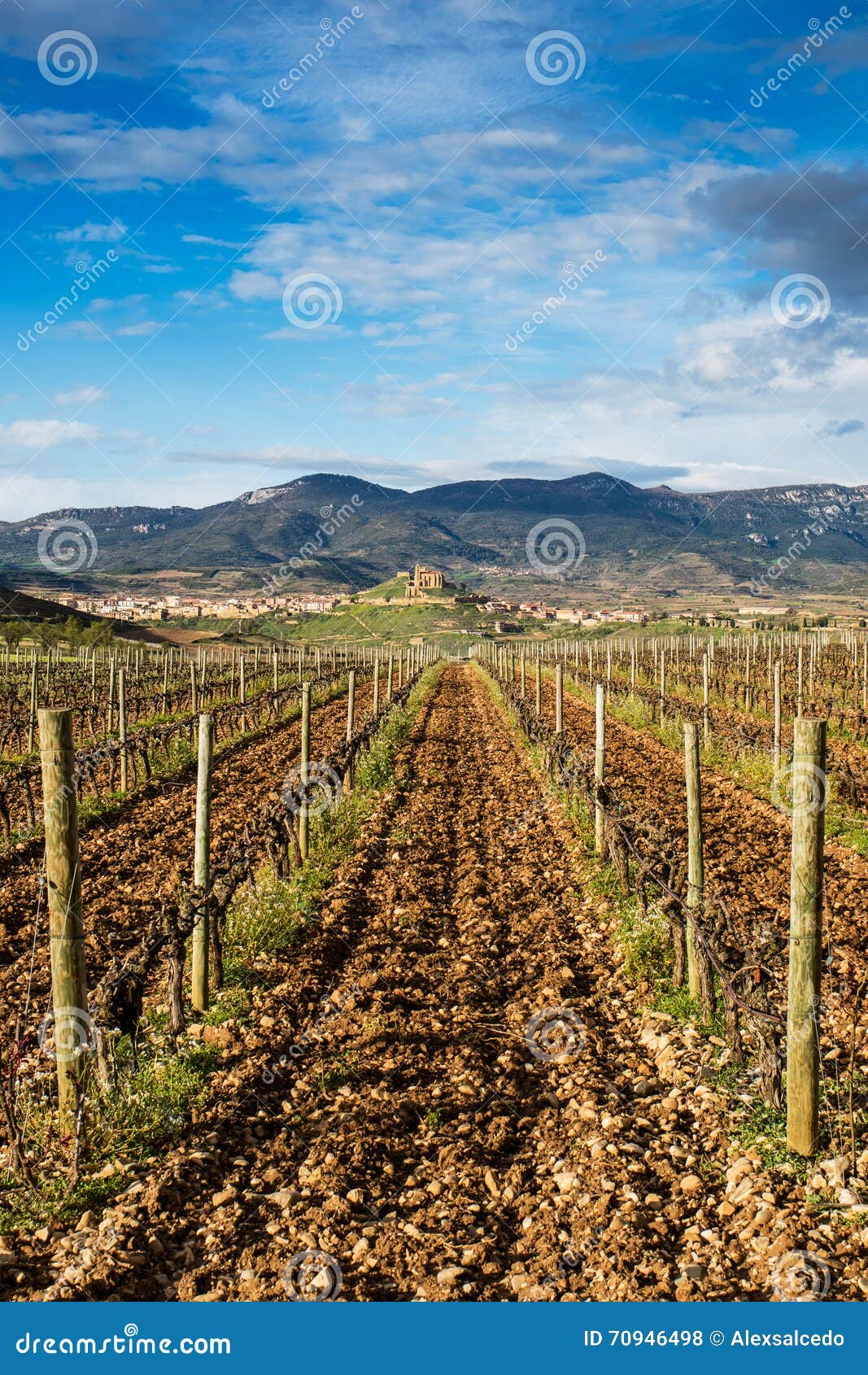 Valley In Briones Regional Park; Mount Diablo In The Background, Contra ...