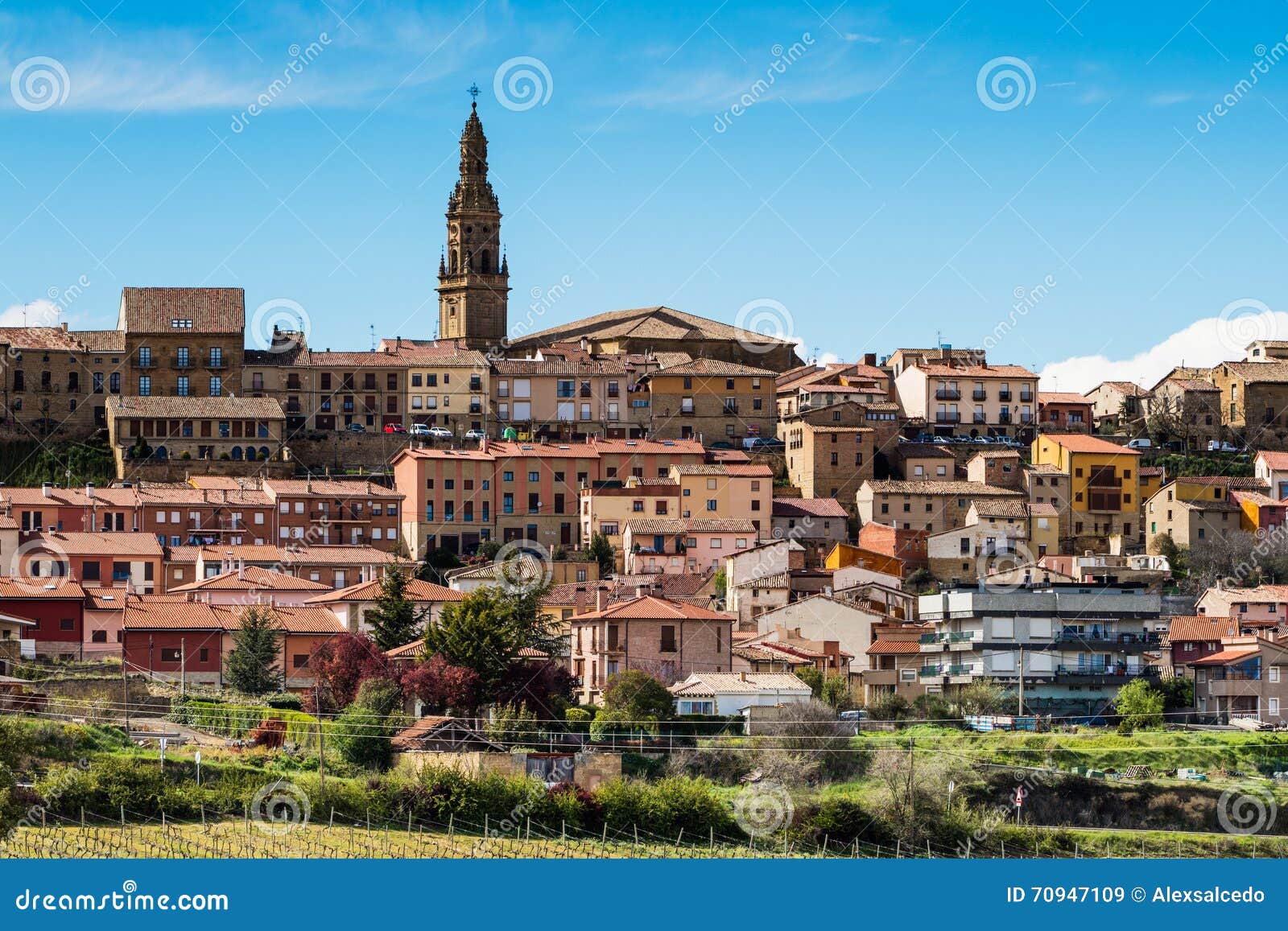 Valley In Briones Regional Park; Mount Diablo In The Background, Contra ...