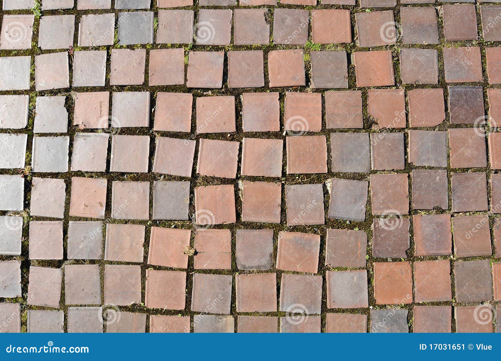 Briques Carrées D'argile Rouge Image stock - Image du pavez, réitéré ...