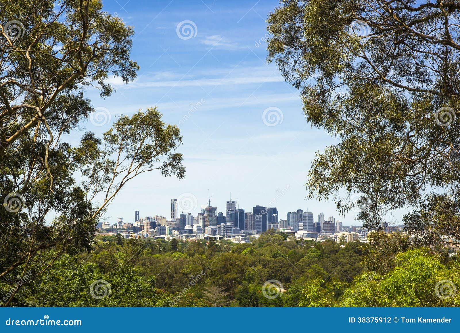 Brisbane Botanical Garden View Stock Photo - Image of tourist, leaf ...
