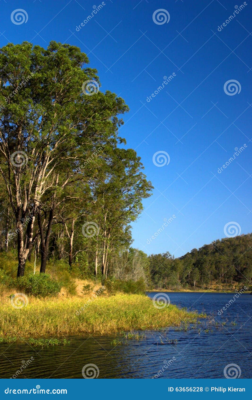 Brisbane Forrest Park Queensland Australia Fotografia Stock - Immagine ...