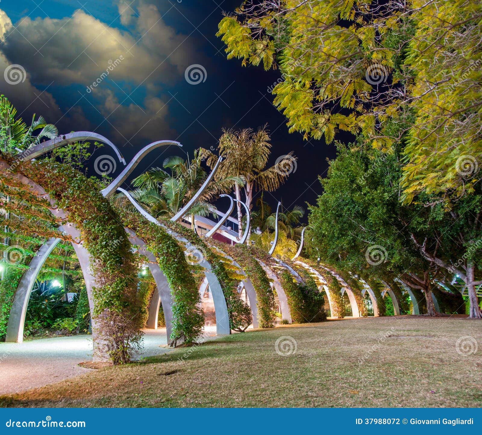 Brisbane. Southbank Arbour Boardwalk at Night Stock Photo - Image of ...