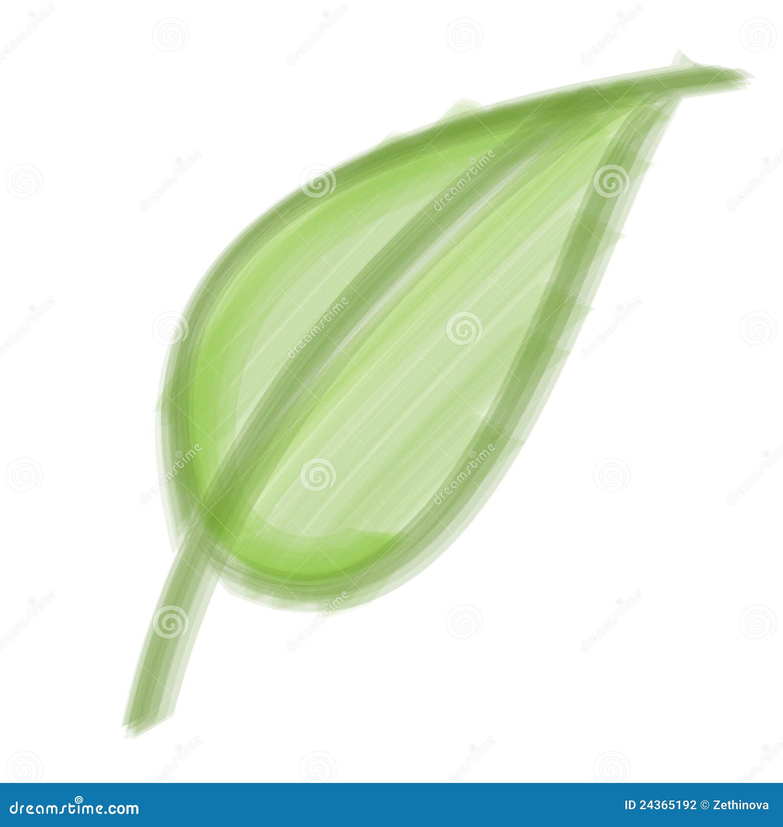 Bristle Brush Leaf stock illustration. Illustration of nature - 24365192