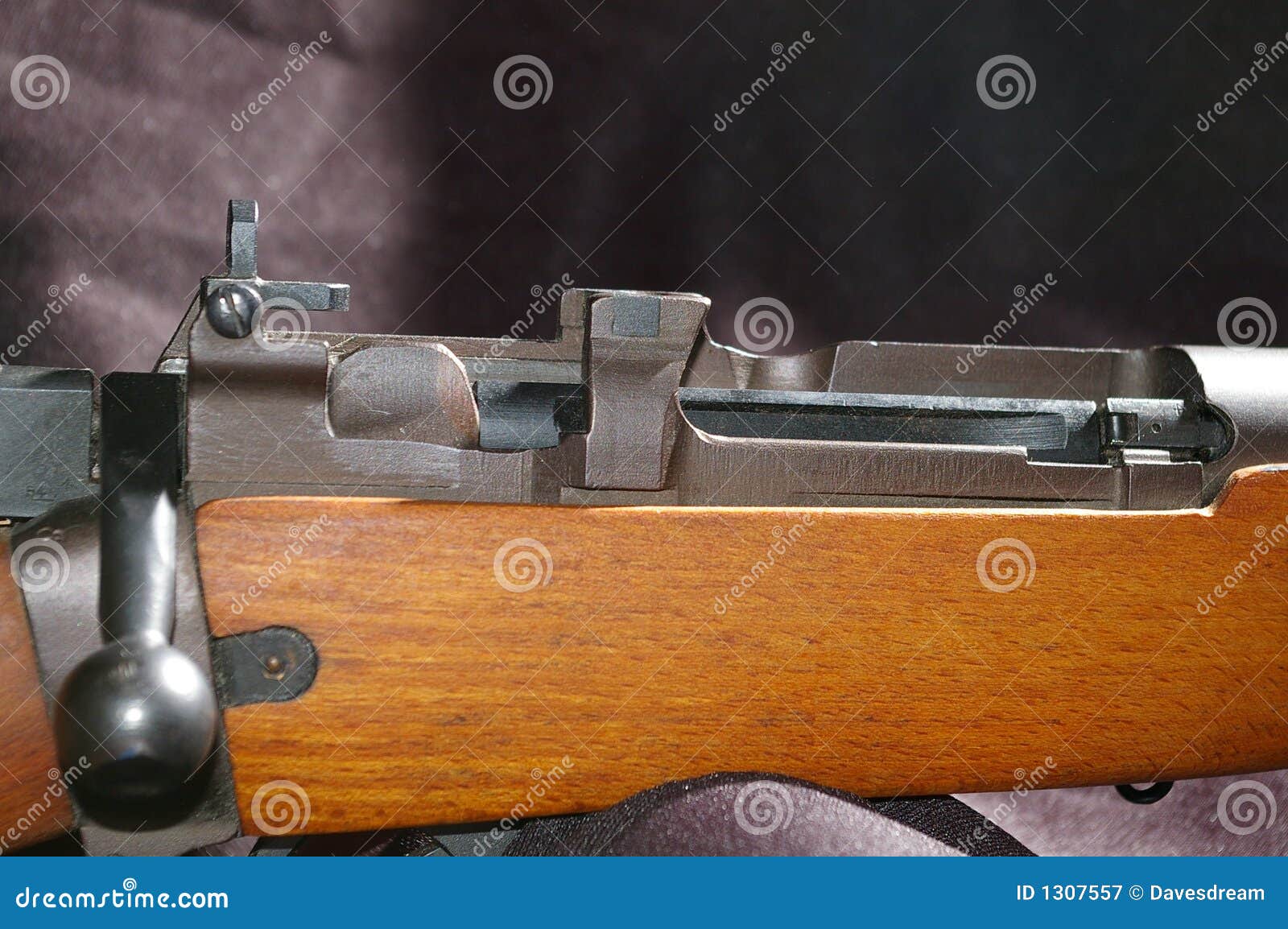 British 303 Rifle 2 Picture. Image: 1307557