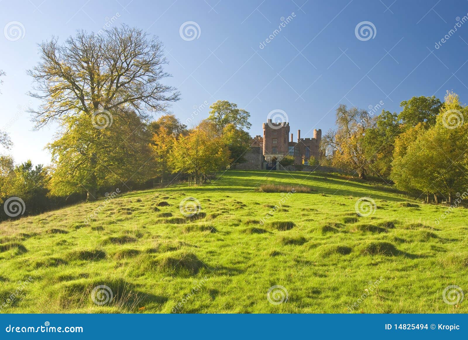 The British autumn stock photo. Image of farm, leaf, countryside - 14825494