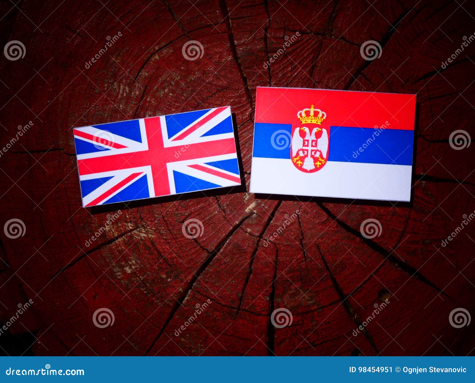 British Flag with Serbian Flag on a Tree Stump Isolated Stock Image ...