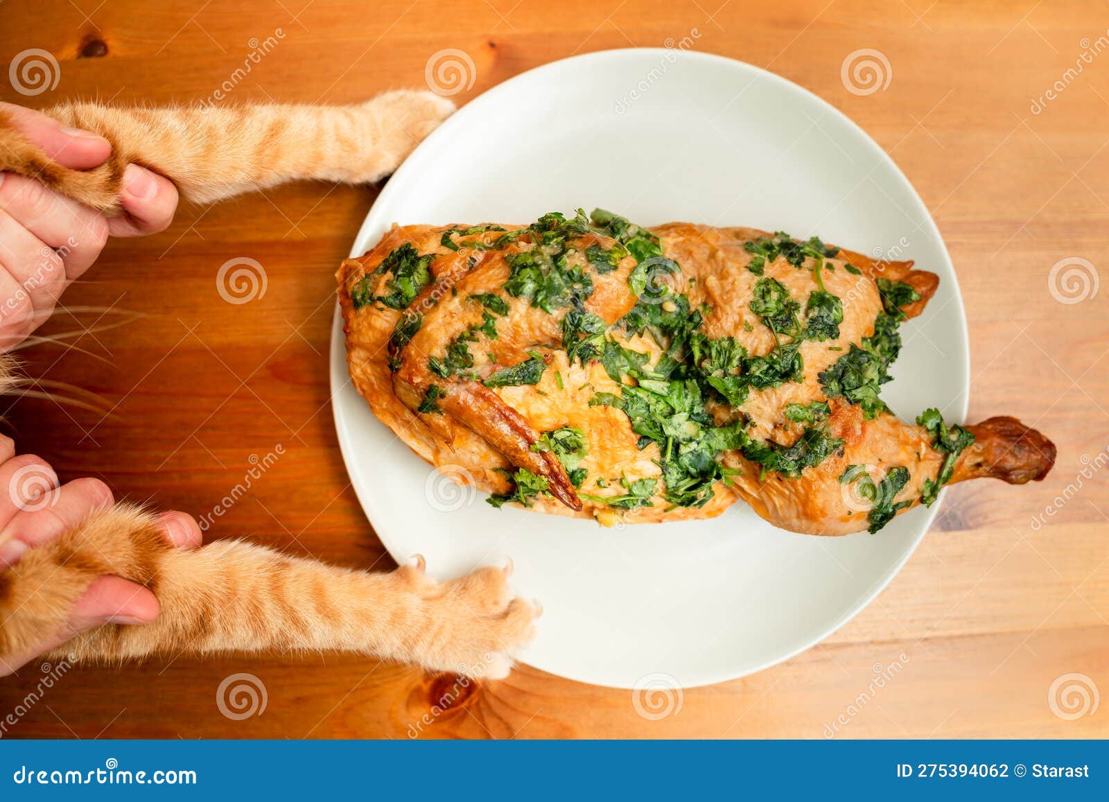 British Ginger Cat Steals Grilled Chicken from the Table Stock Photo ...
