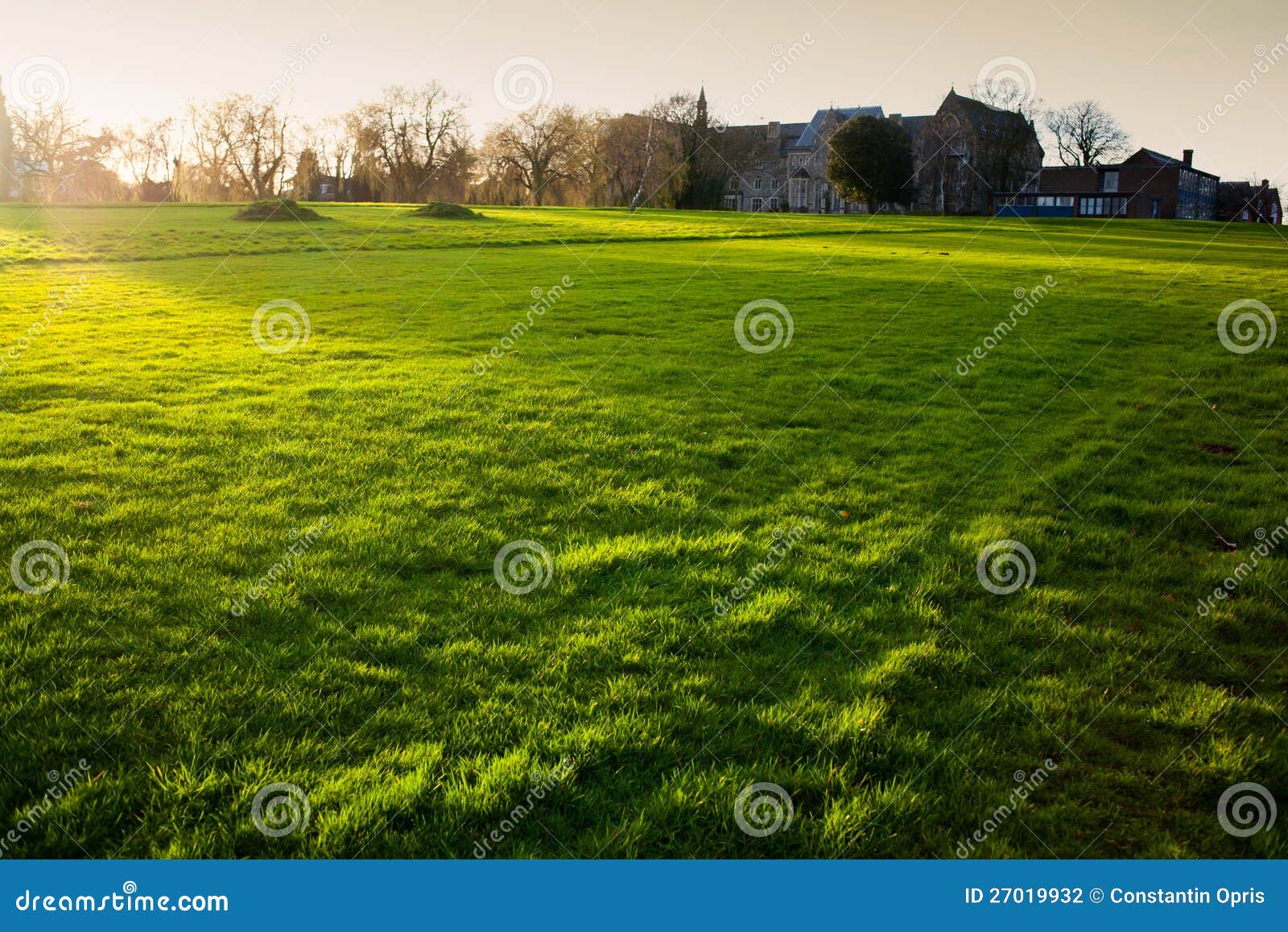 British grass stock photo. Image of city, british, sunlight - 27019932