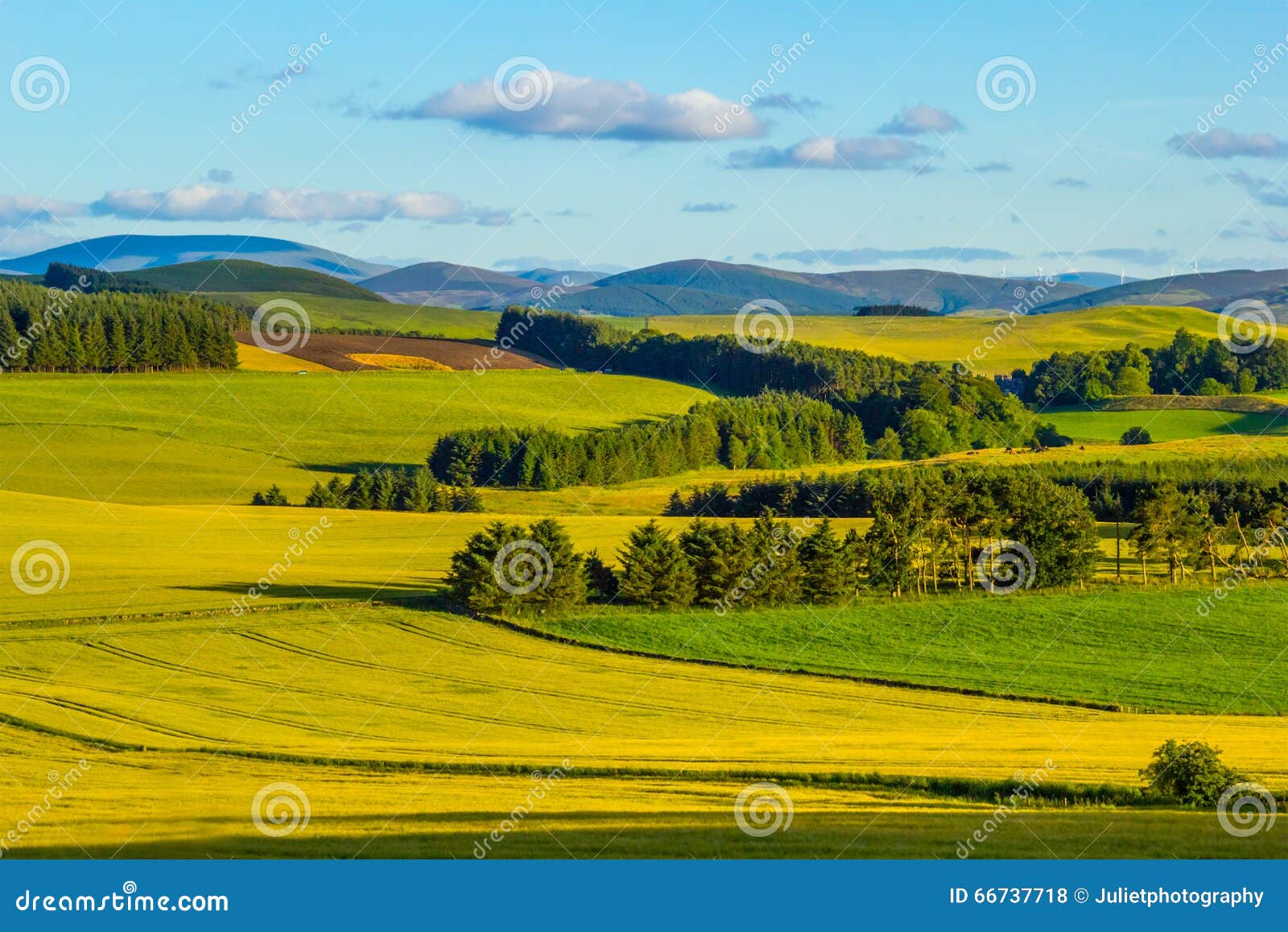 British Landscape in Summer Stock Photo - Image of background, green ...