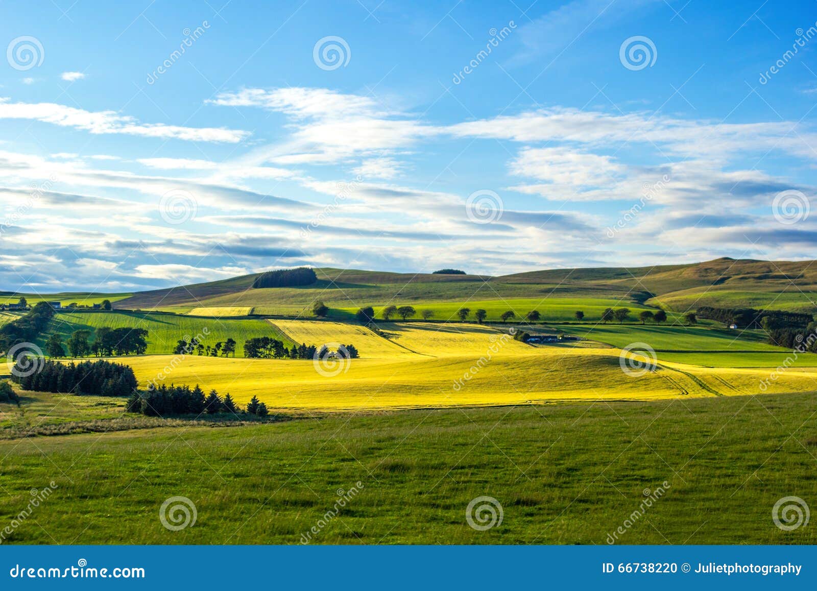 British Landscape in Summer Stock Photo - Image of grass, fields: 66738220