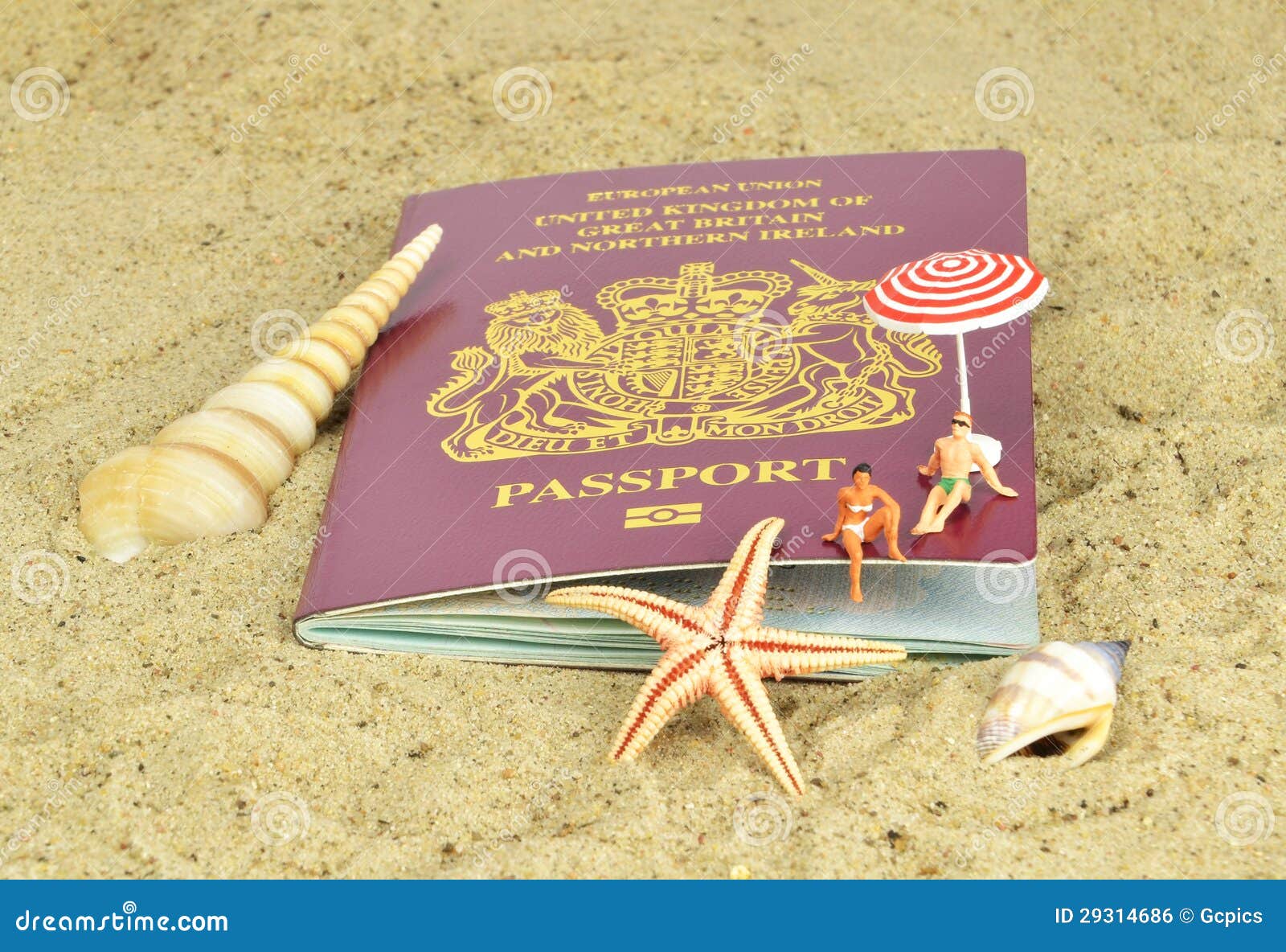 A British Passport on the Beach Stock Photo - Image of beach, starfish ...