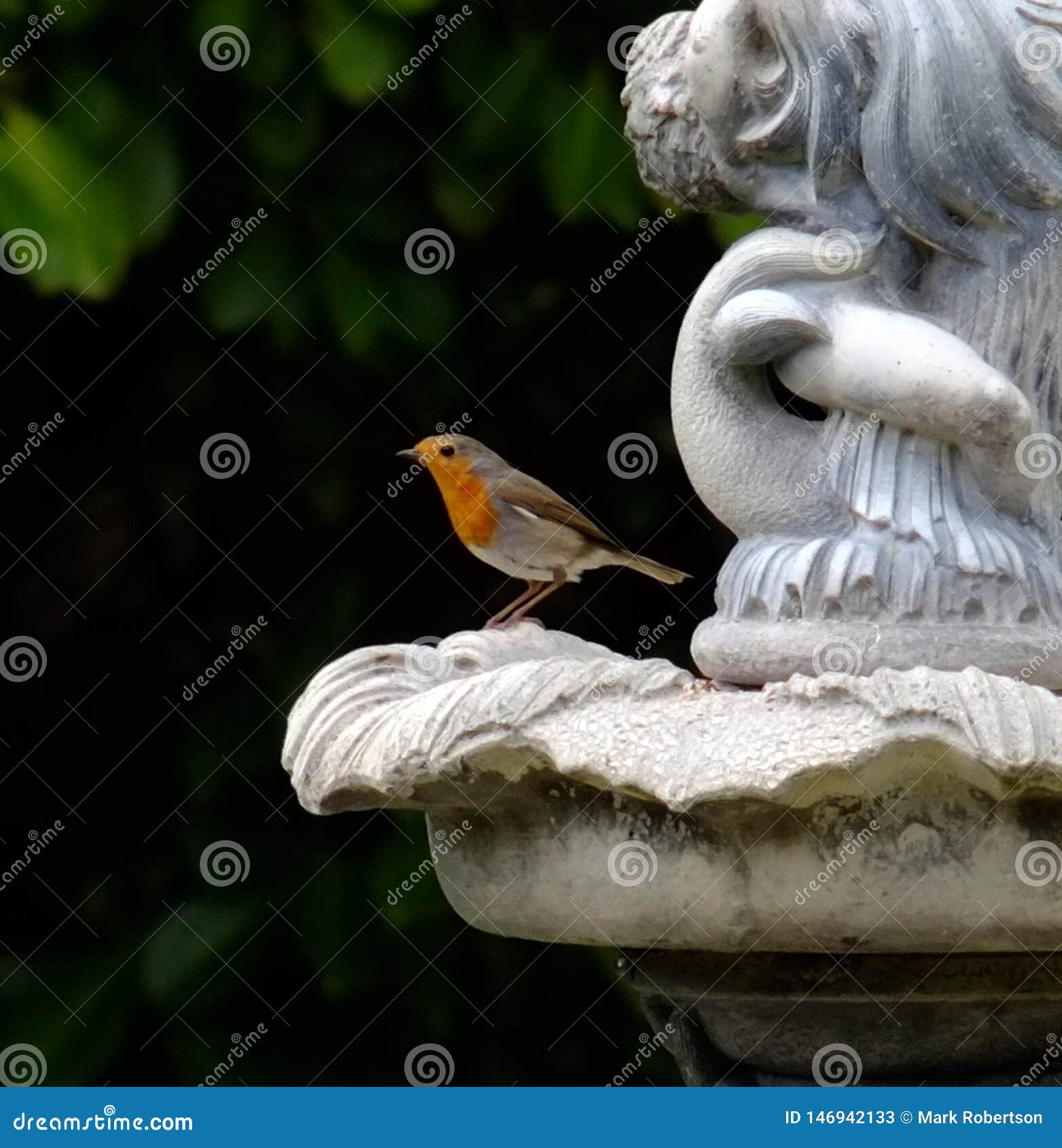 British Robin on a Garden Feature in Spring. Stock Image - Image of ...