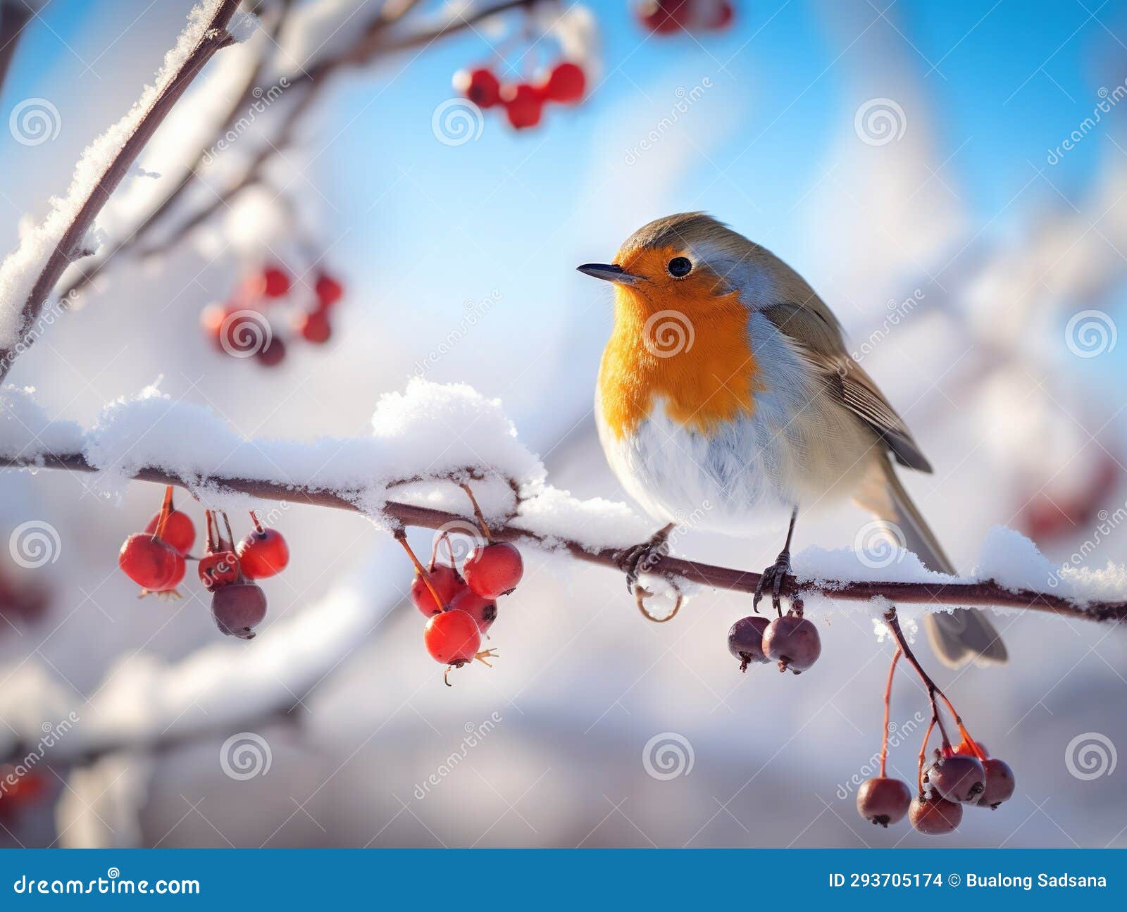 Ai Generated Illustration Wildlife Concept of British Robin Stock ...