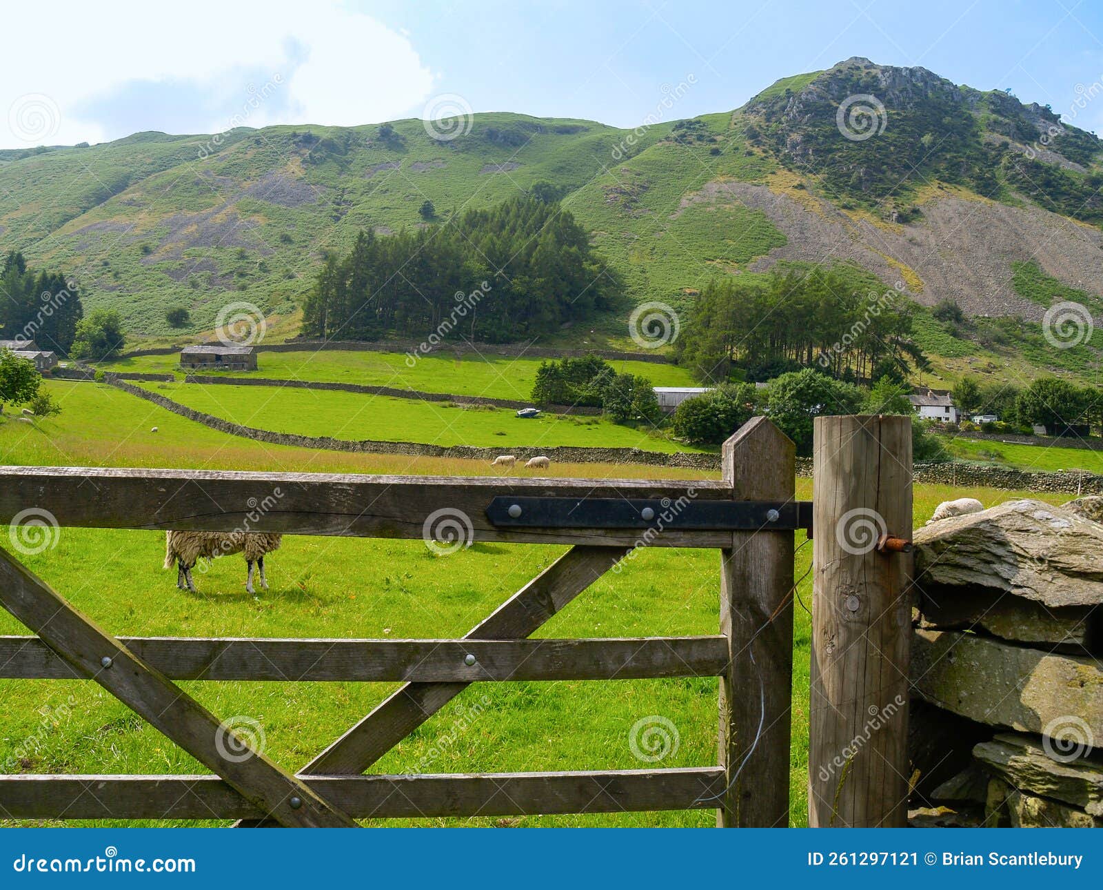 British Rural Landscape Rolling Green Fields Stock Image - Image of ...