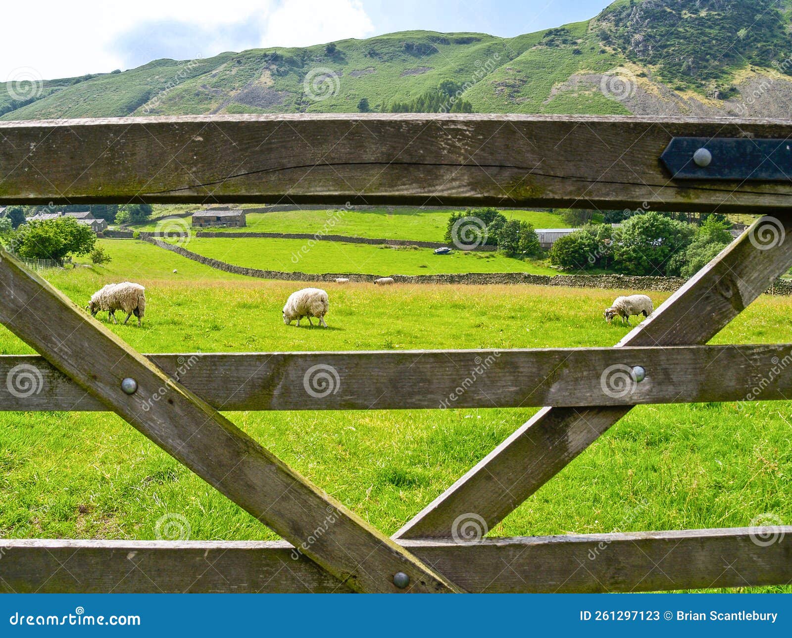 British Rural Landscape Rolling Green Fields Stock Image - Image of ...