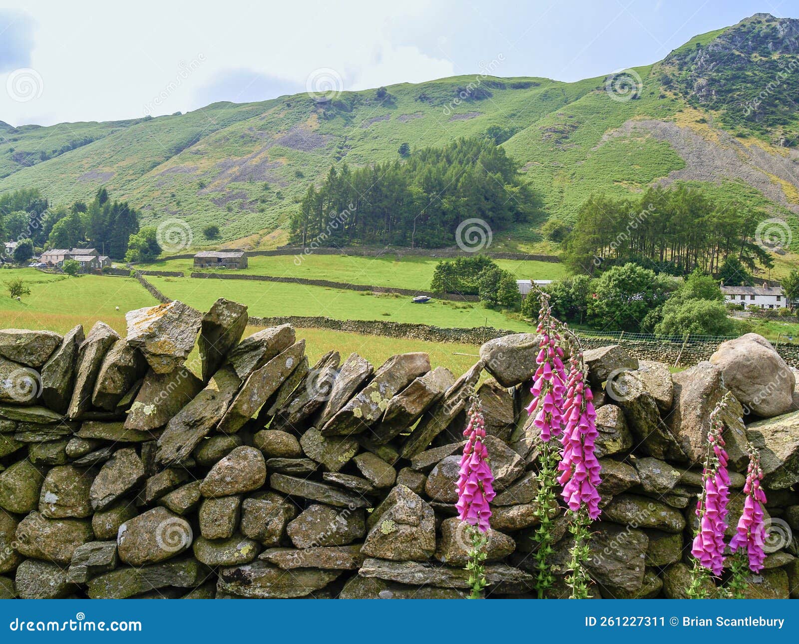 British Rural Landscape Rolling Green Fields Stock Image - Image of ...