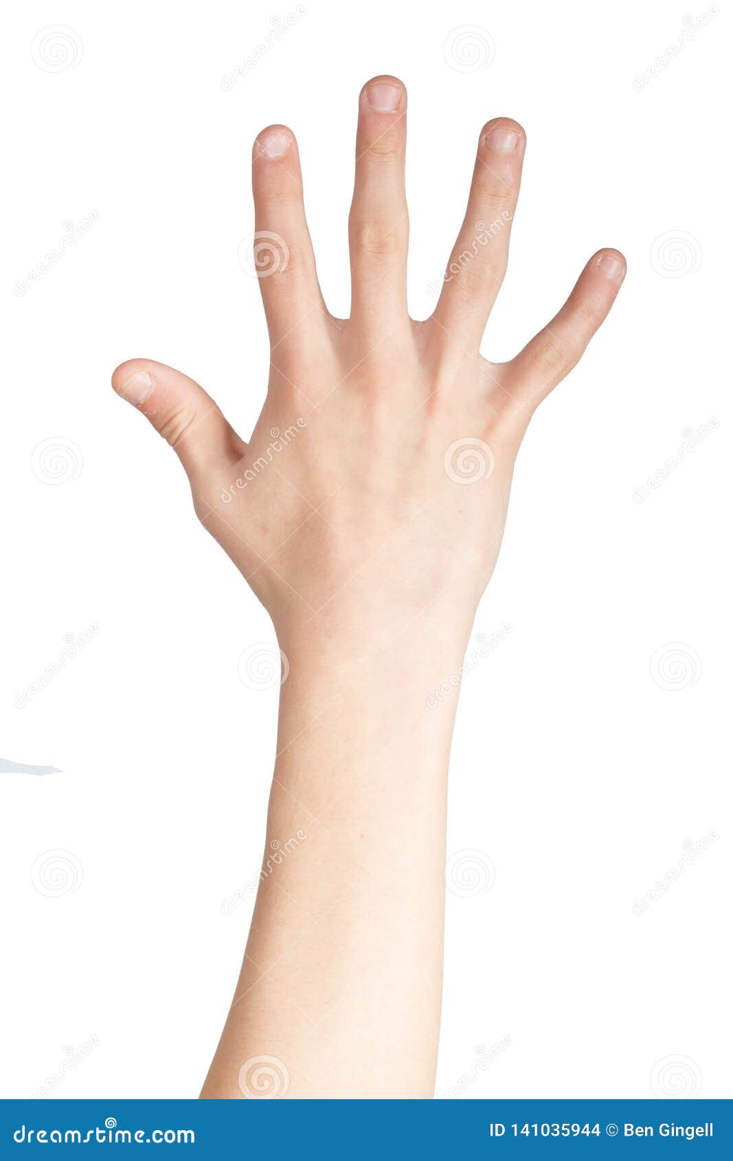 British Sign Language stock photo. Image of signs, deaf - 141035944