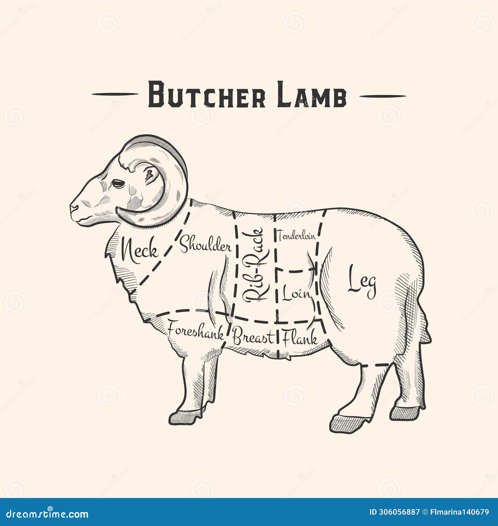 British Cuts of Lamb or Mutton Diagram Stock Vector - Illustration of ...