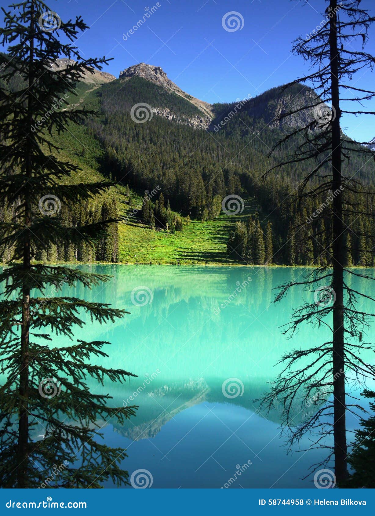 Brits Colombia, Bergmeer, Canadees Landschap Stock Foto - Image of berg ...