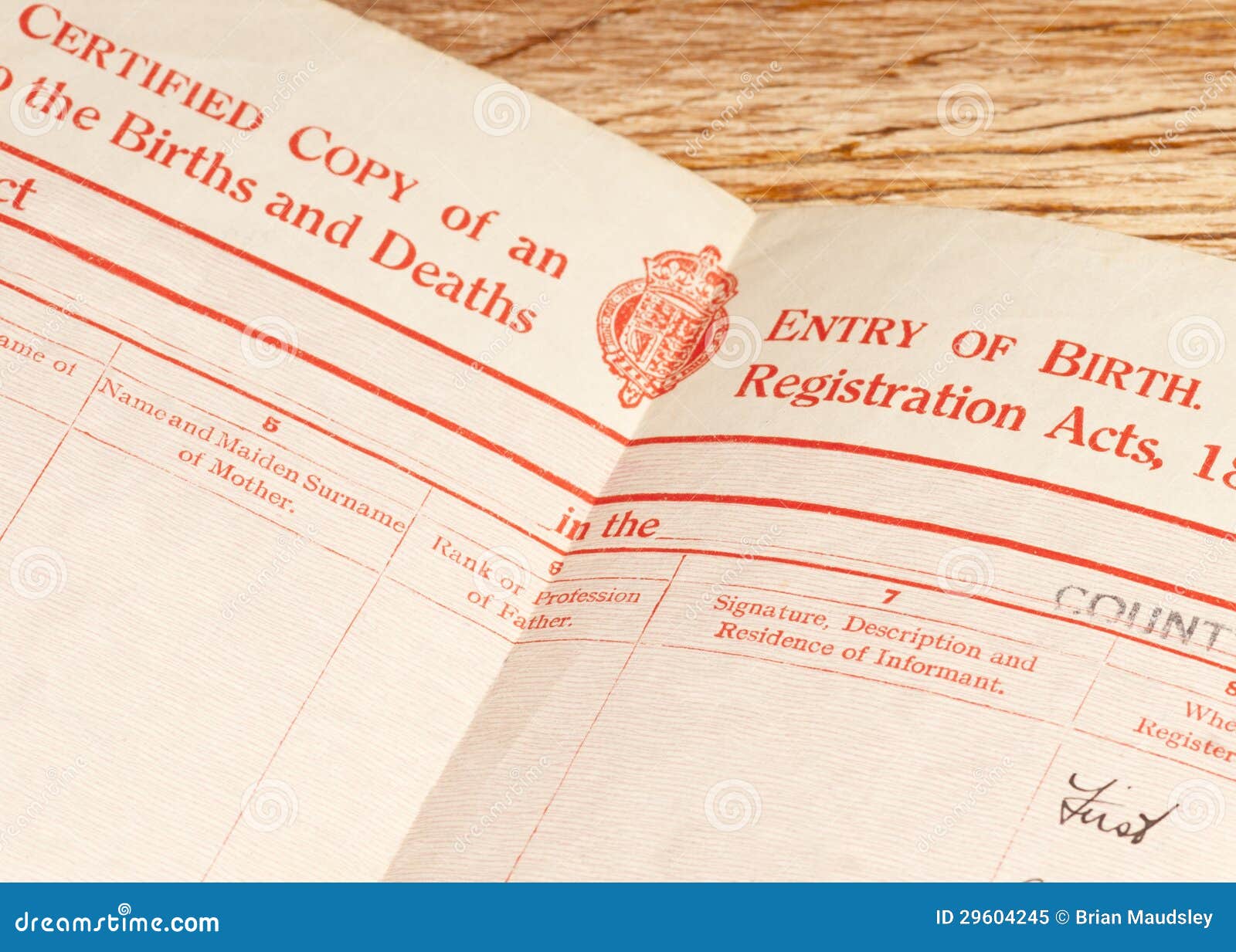 Brittiskt personbevis fotografering för bildbyråer. Bild av barn - 29604245