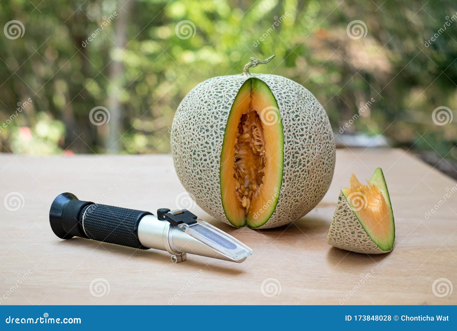 Brix Refractometer Sweet Test Tool Device for Measuring Sugar in ...