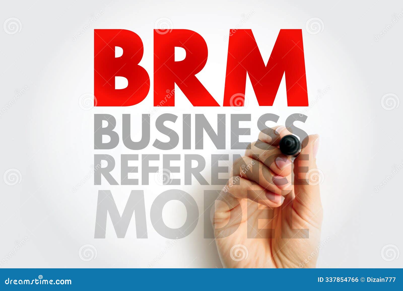 BRM Business Reference Model - Concentrating on the Functional and ...