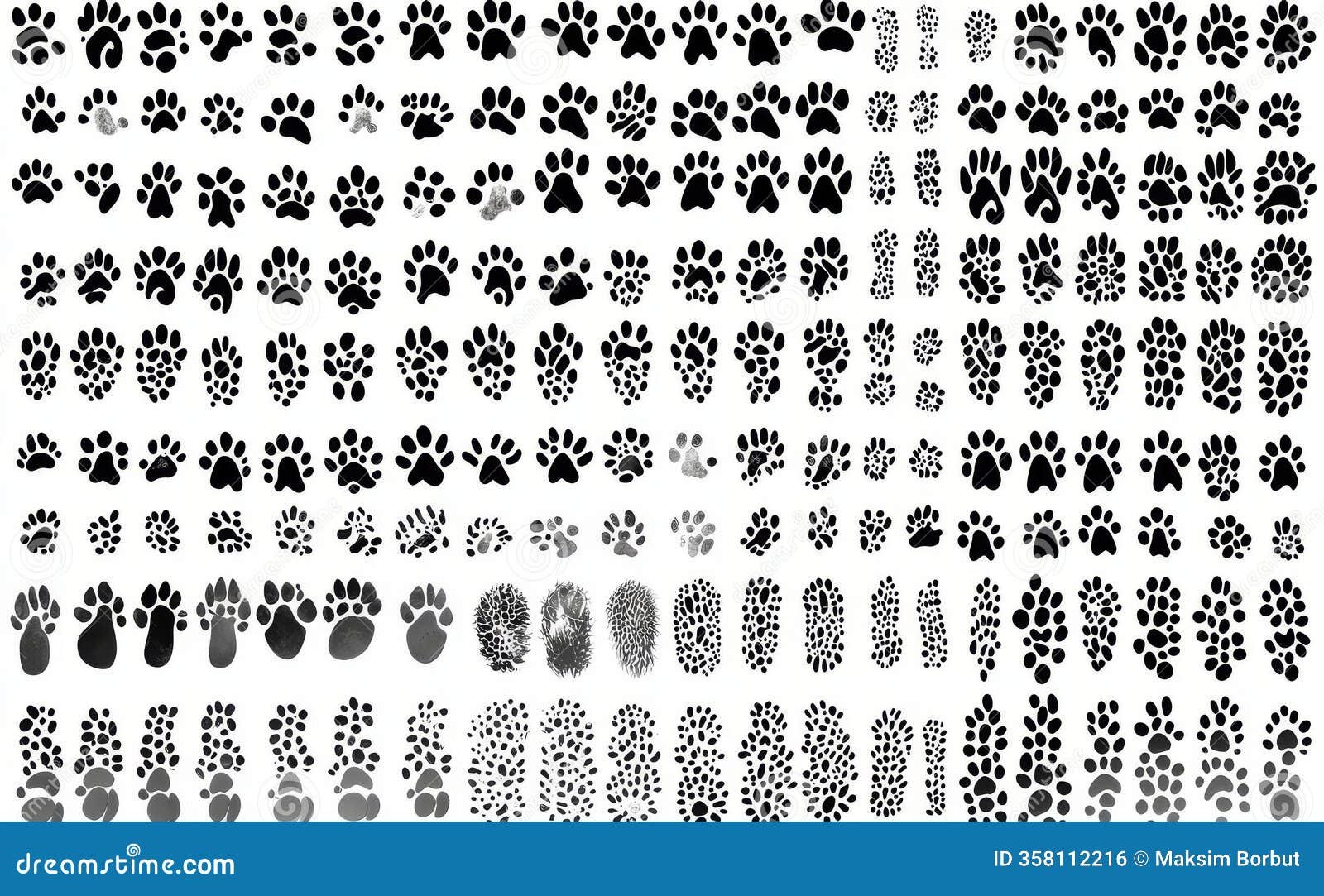 A Broad Array of Animal and Bird Footprint Imprints on a White ...
