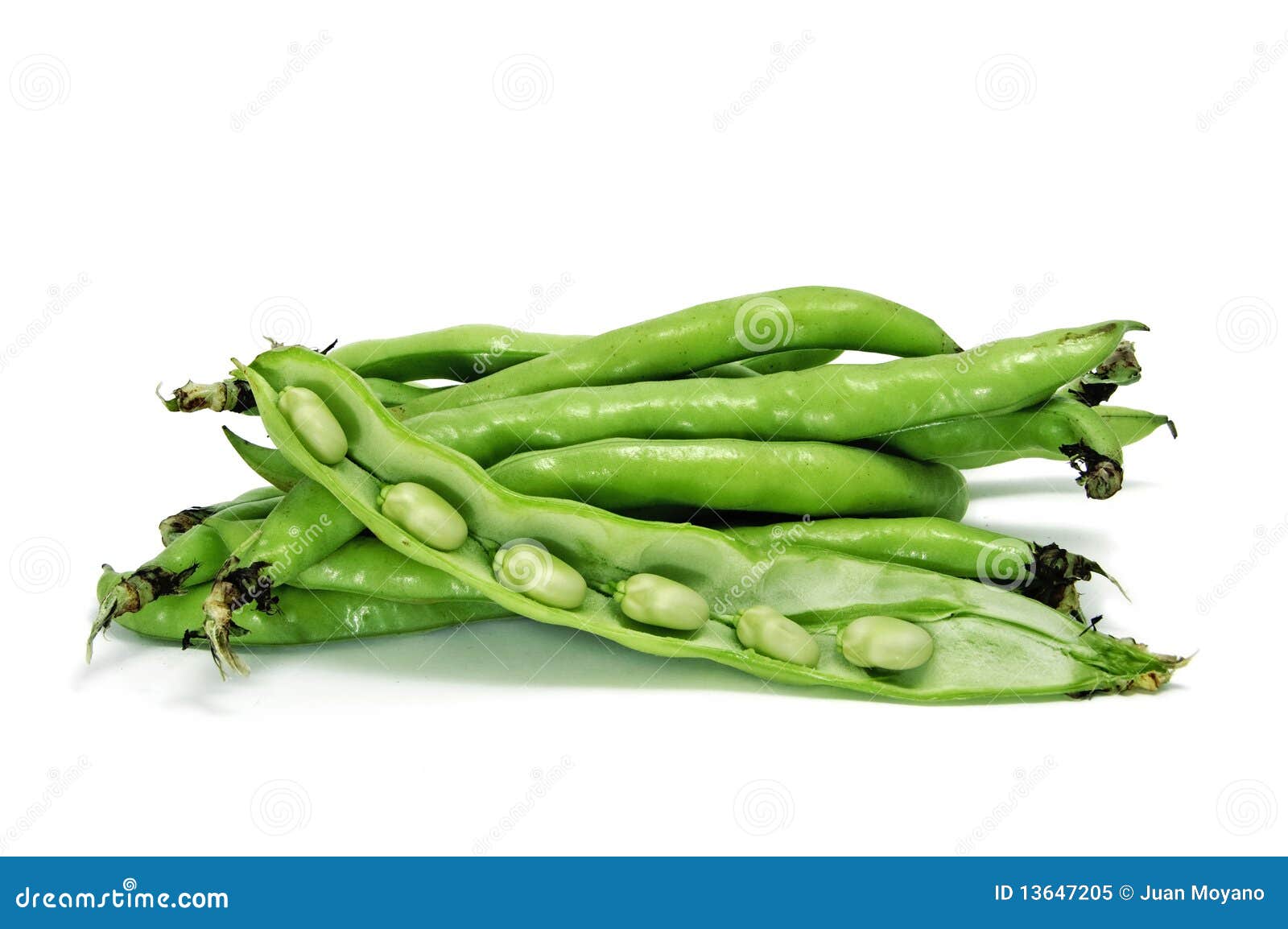 Broad Bean Leaf Plant Cell Under Microscope Stock Photo | CartoonDealer ...