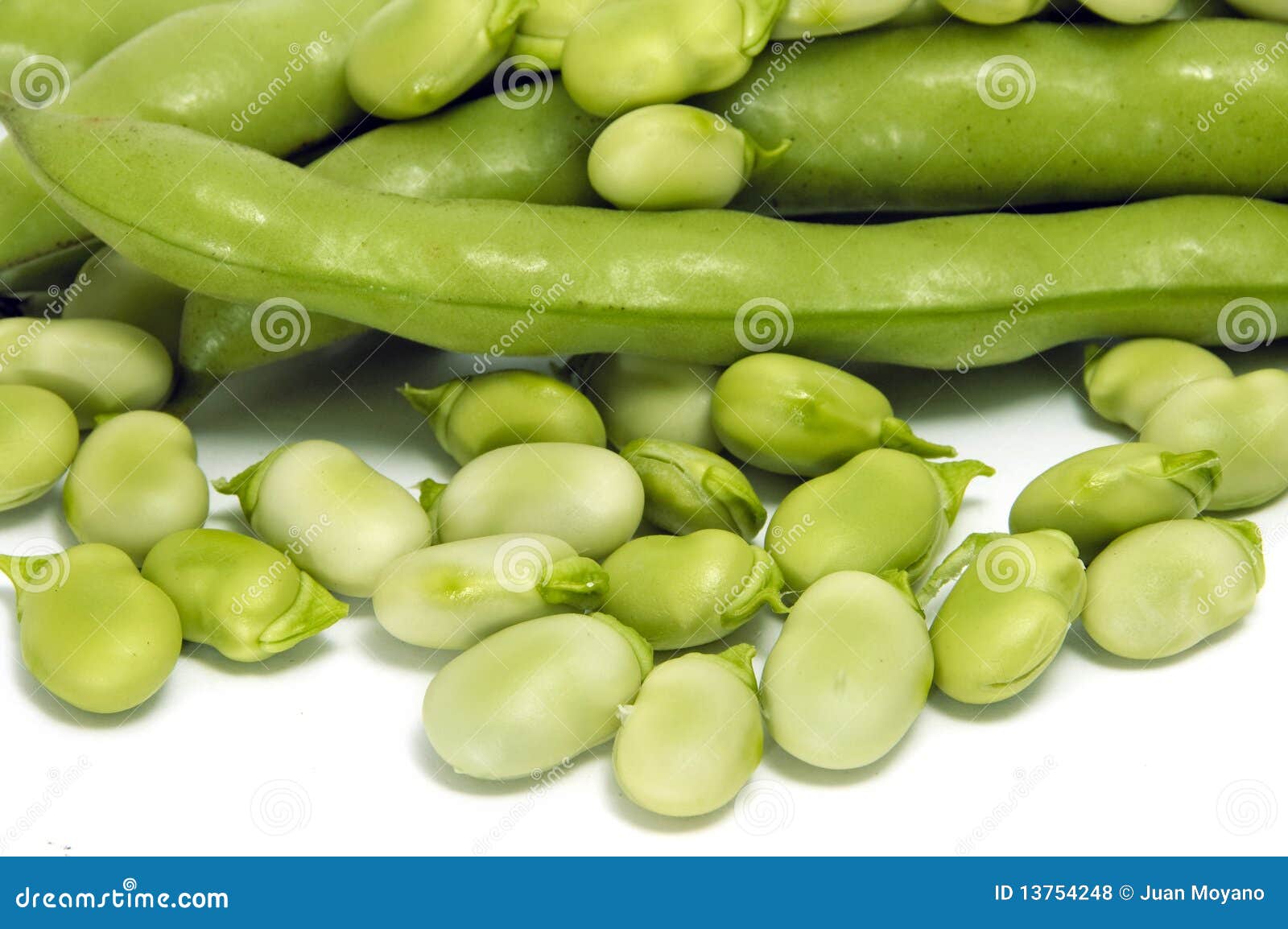 Broad bean stock photo. Image of delicious, fabes, cuisine - 13754248