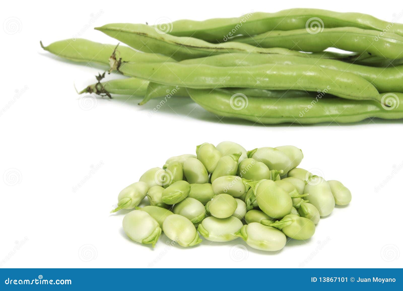 Broad Bean Leaf Plant Cell Under Microscope Stock Photo | CartoonDealer ...