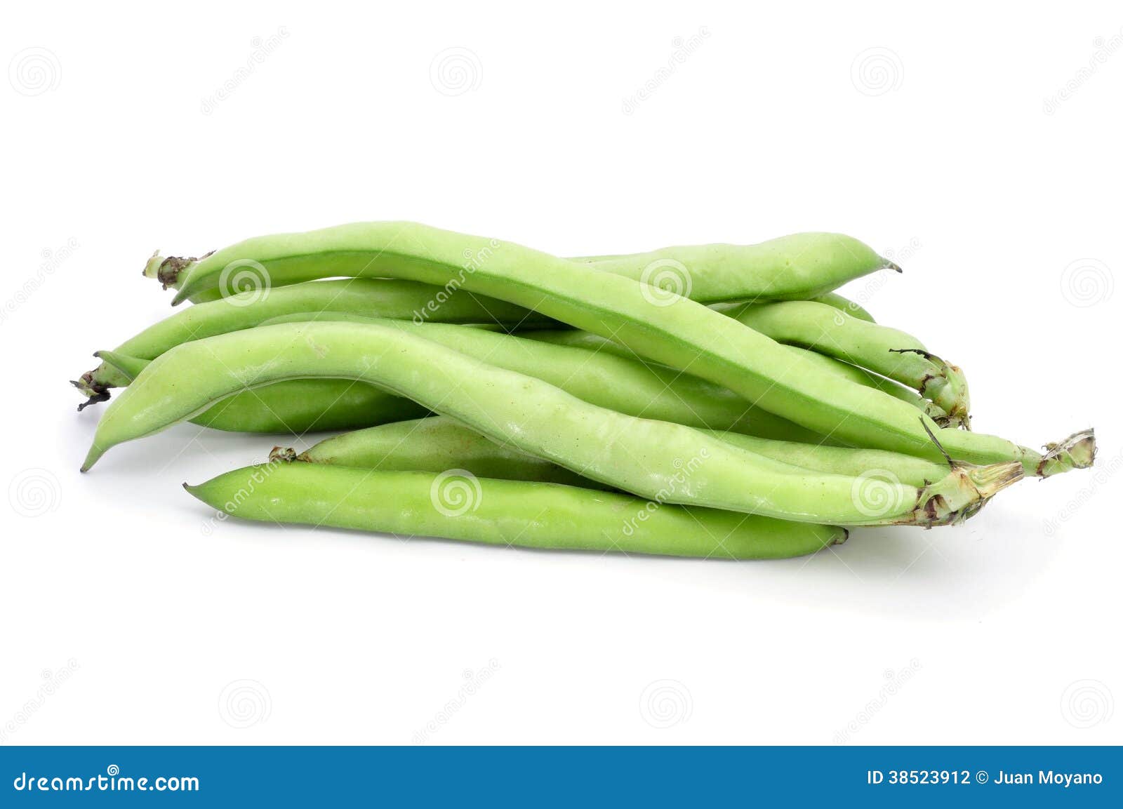 Broad Bean (fava Bean) Stock Image | CartoonDealer.com #49935367