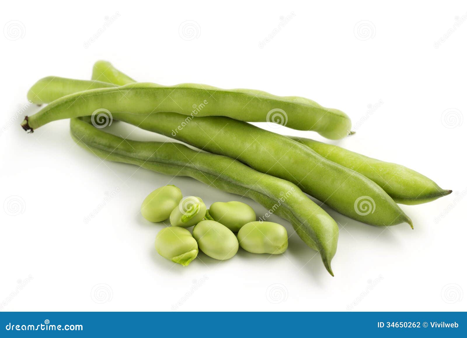 Broad Bean (Vicia Faba, Fava Bean, Field Bean, Bell Bean Or Tic Bean ...