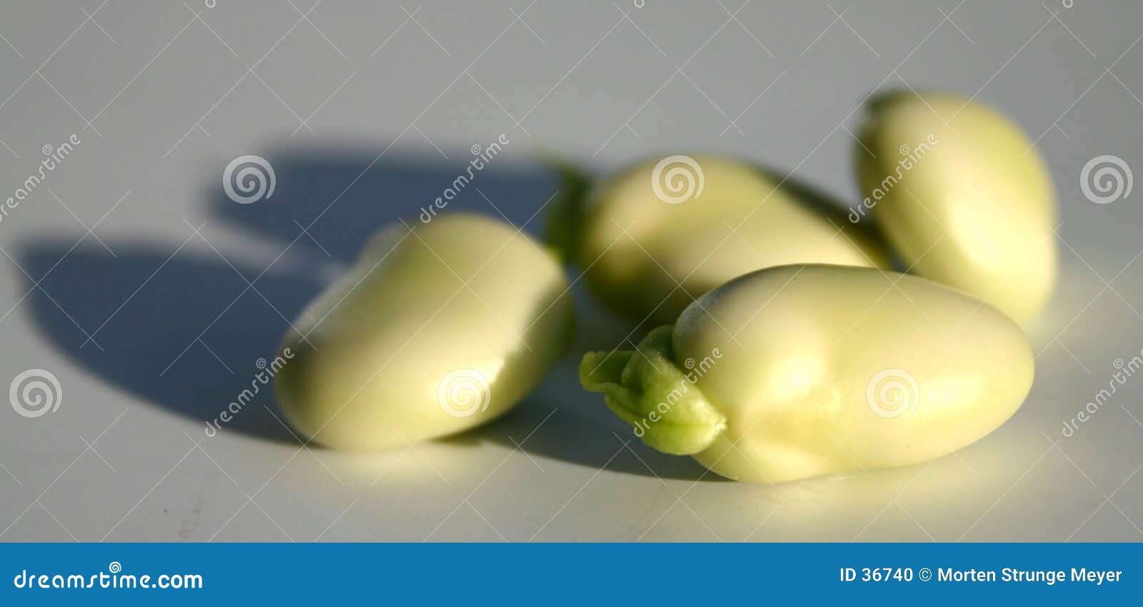 Broad beans stock photo. Image of bean, yellow, white, seed - 36740