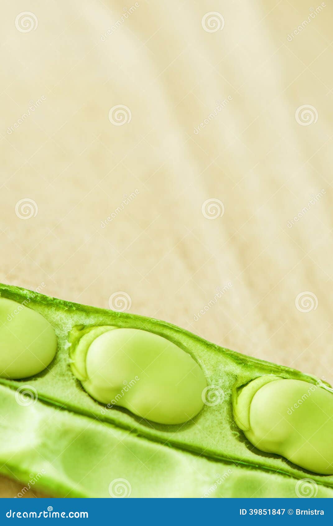 Open Pod Of Broad Bean (aka Fava Bean) On Marble Surface Stock ...