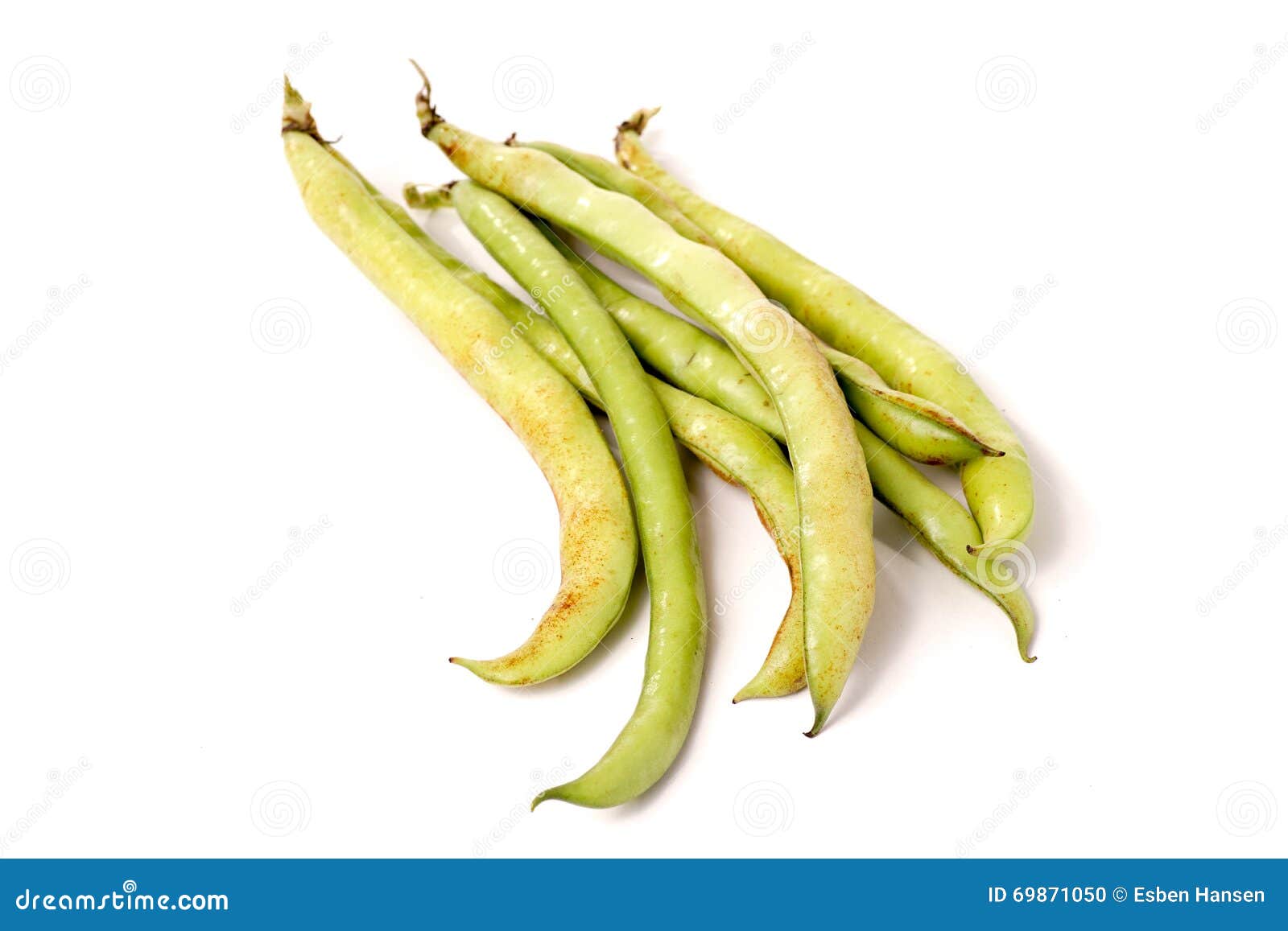Broad Beans in pod stock photo. Image of cooking, nutrition - 69871050