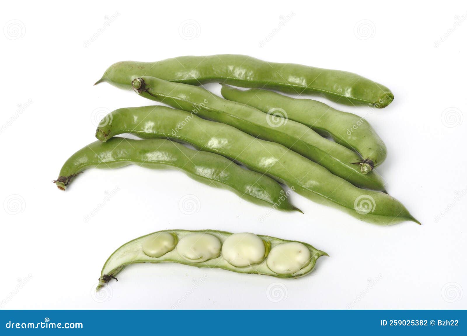 Broad Beans on a White Background Studio Shots Stock Photo - Image of ...