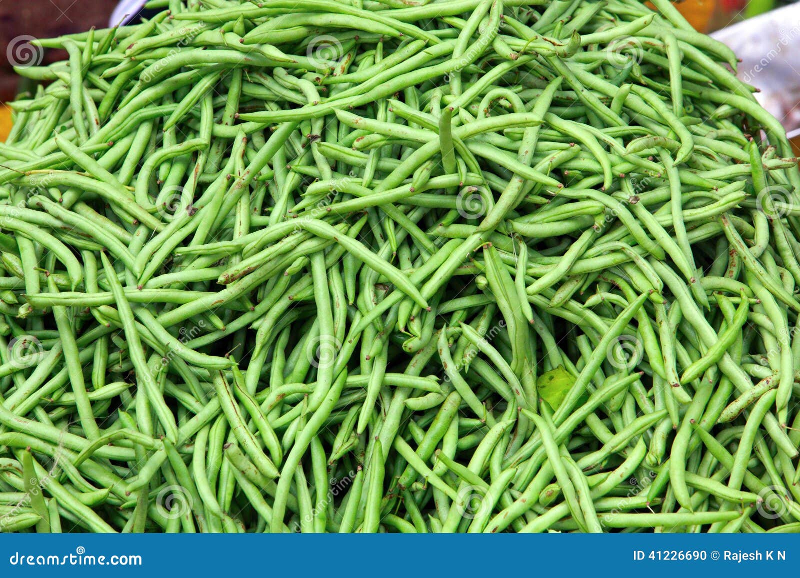 Broad Beens stock photo. Image of beans, nature, fresh - 41226690