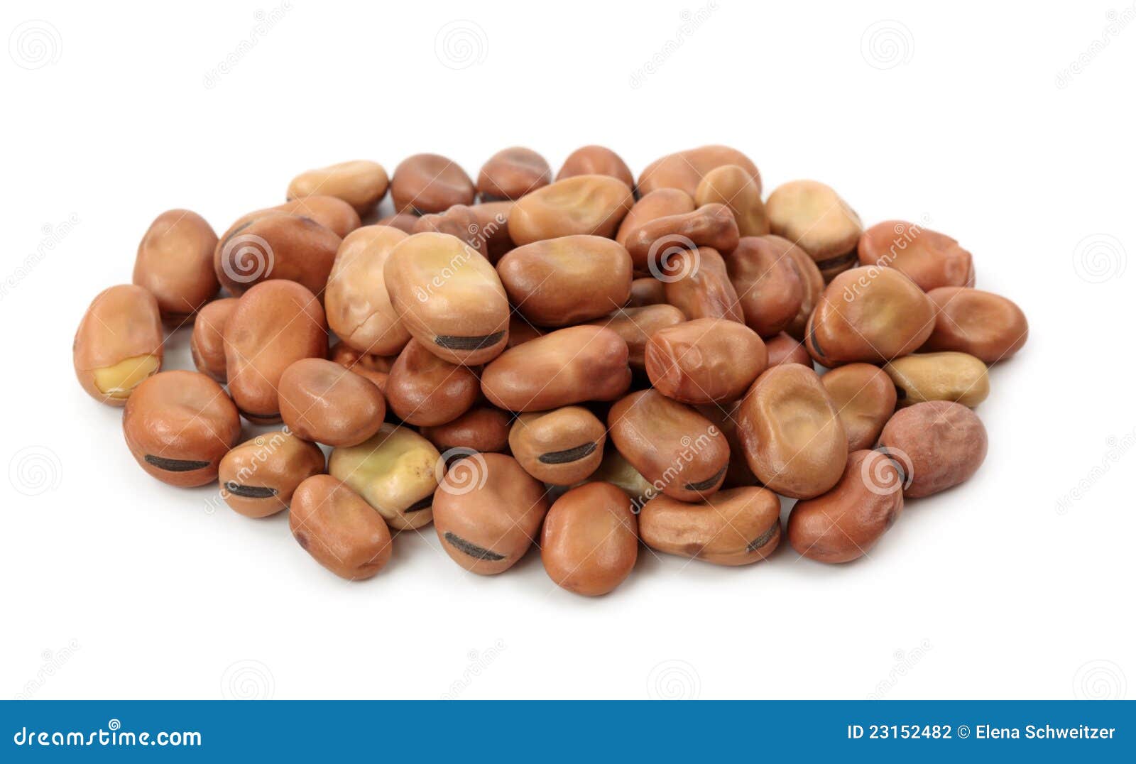 Broad or fava beans stock photo. Image of seeds, healthy - 23152482
