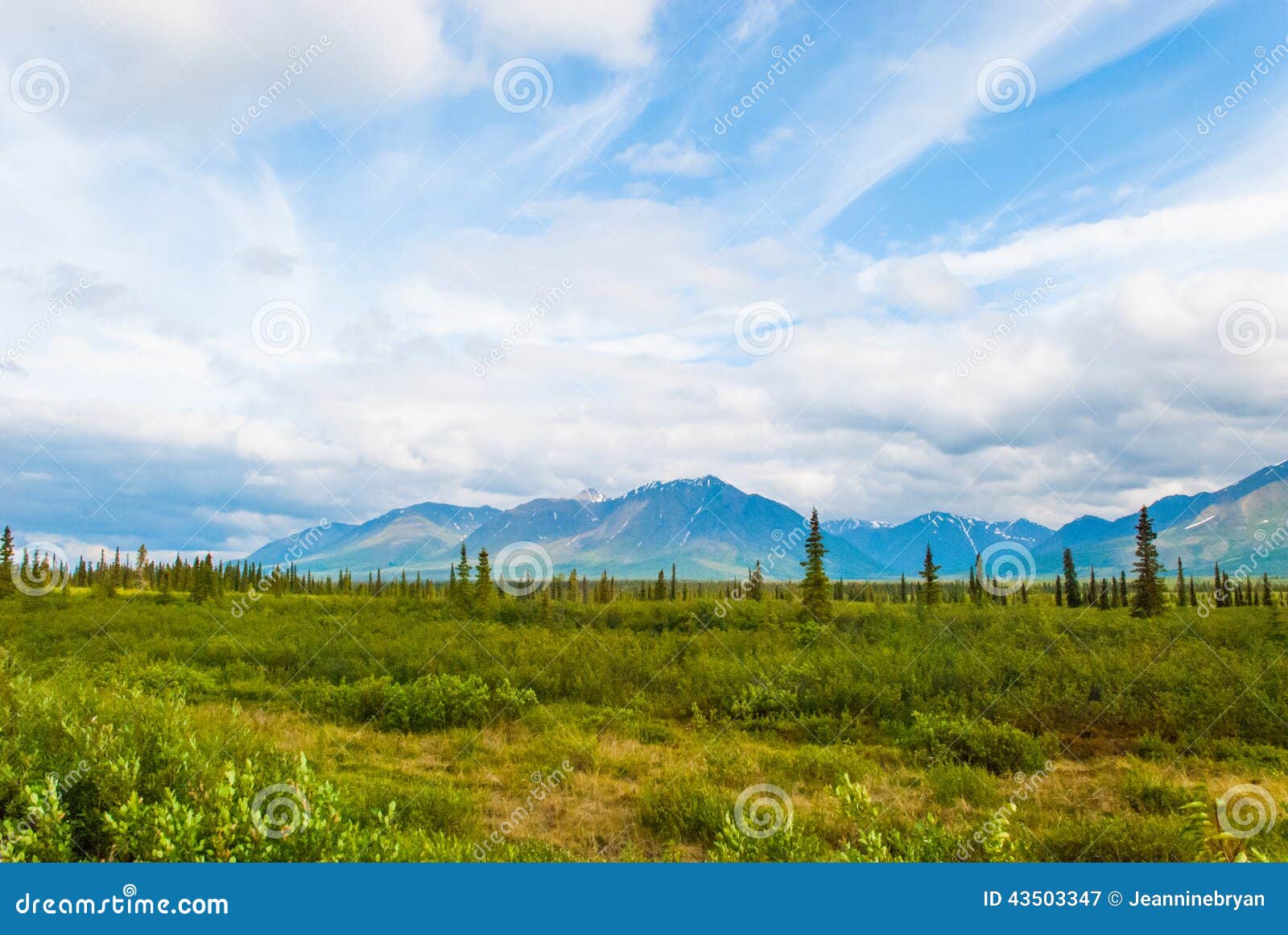 Broad Pass stock image. Image of landscape, rurual, alaska - 43503347