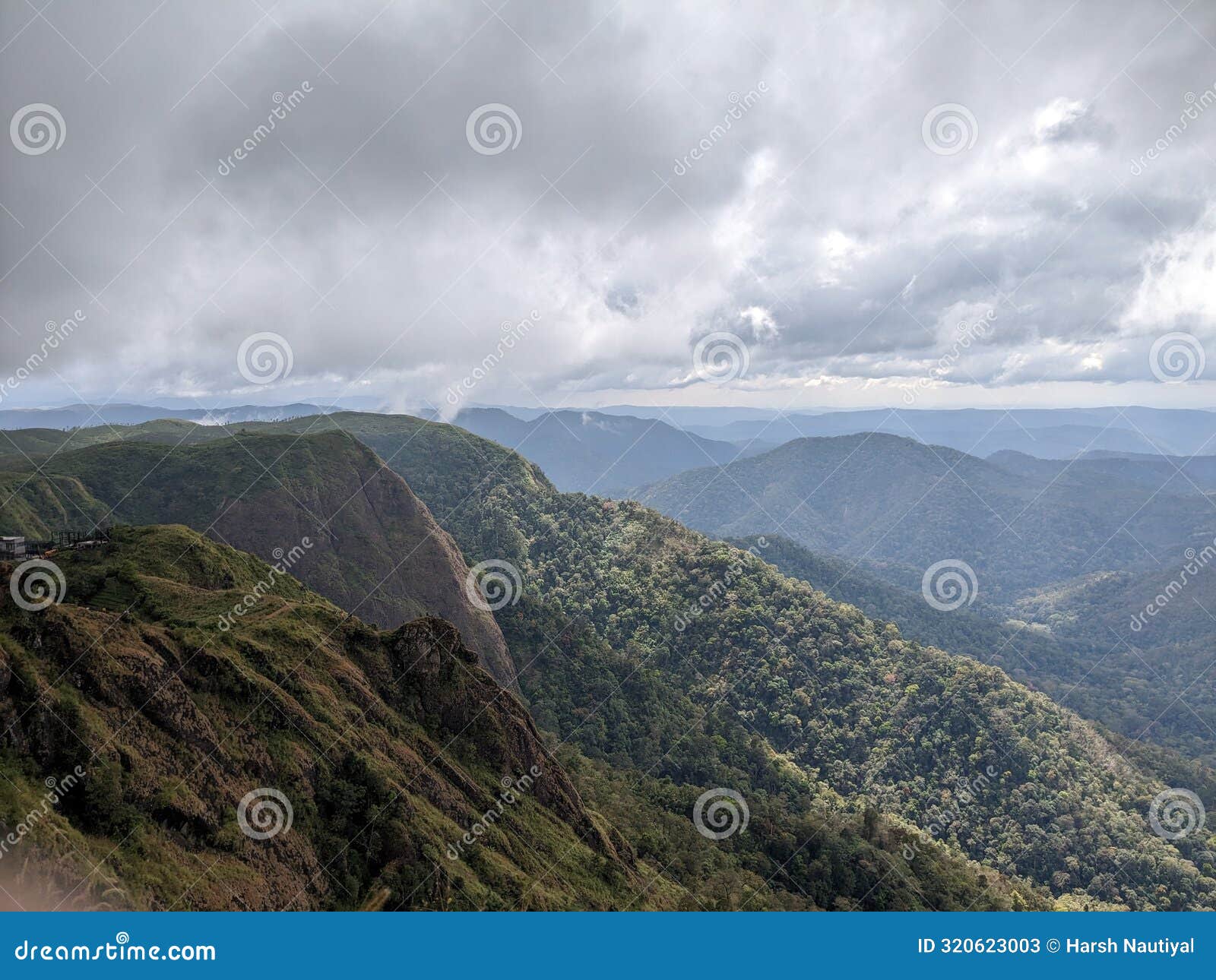 A Broad Perspective of the Steep Terrain from a High Elevation Stock ...