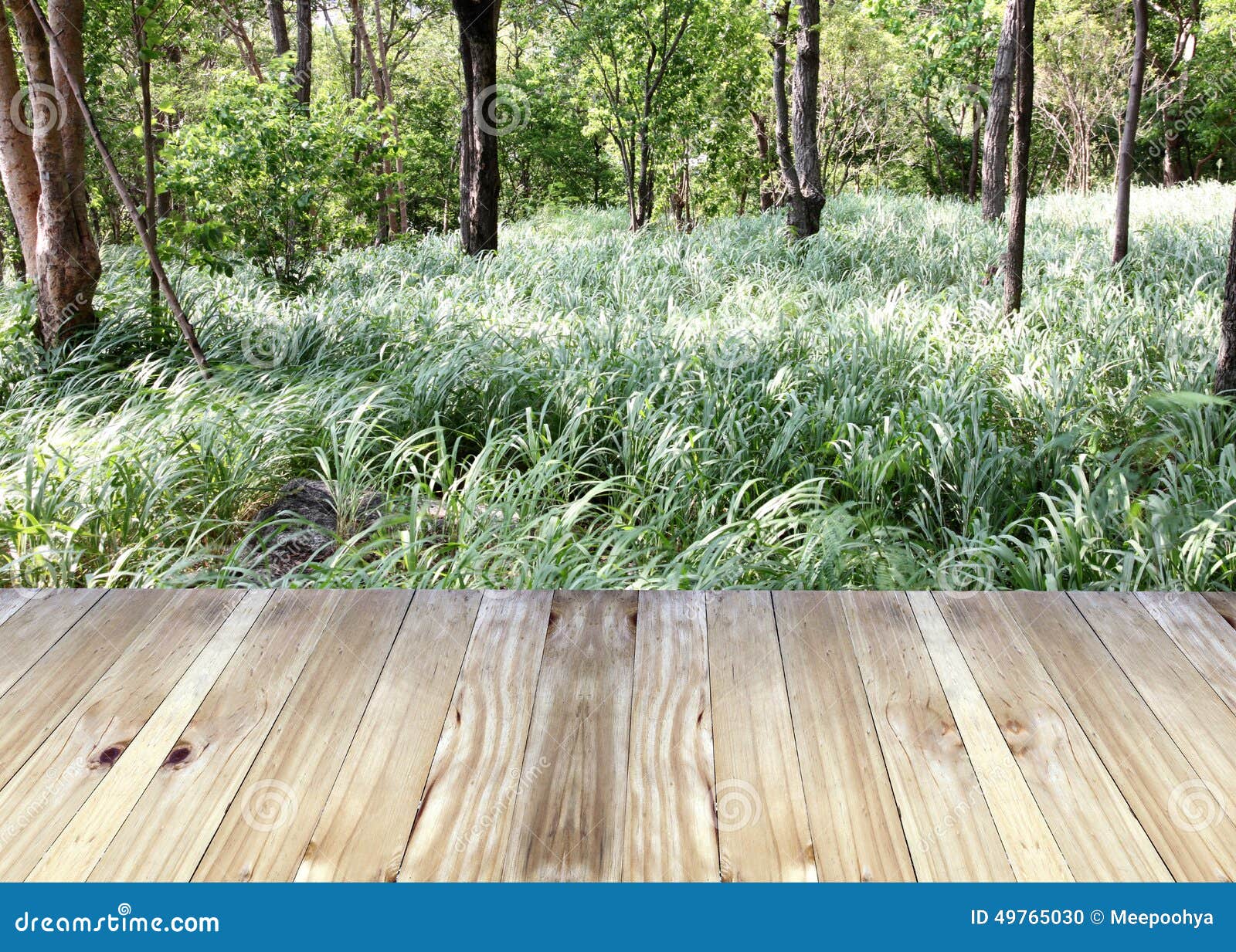 Broad Planks and Tree in Garden of Background. Stock Photo - Image of ...